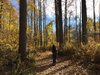 Guide to Travel Sicamous — Exploratory Glory Media Travel and Lifestyle ...