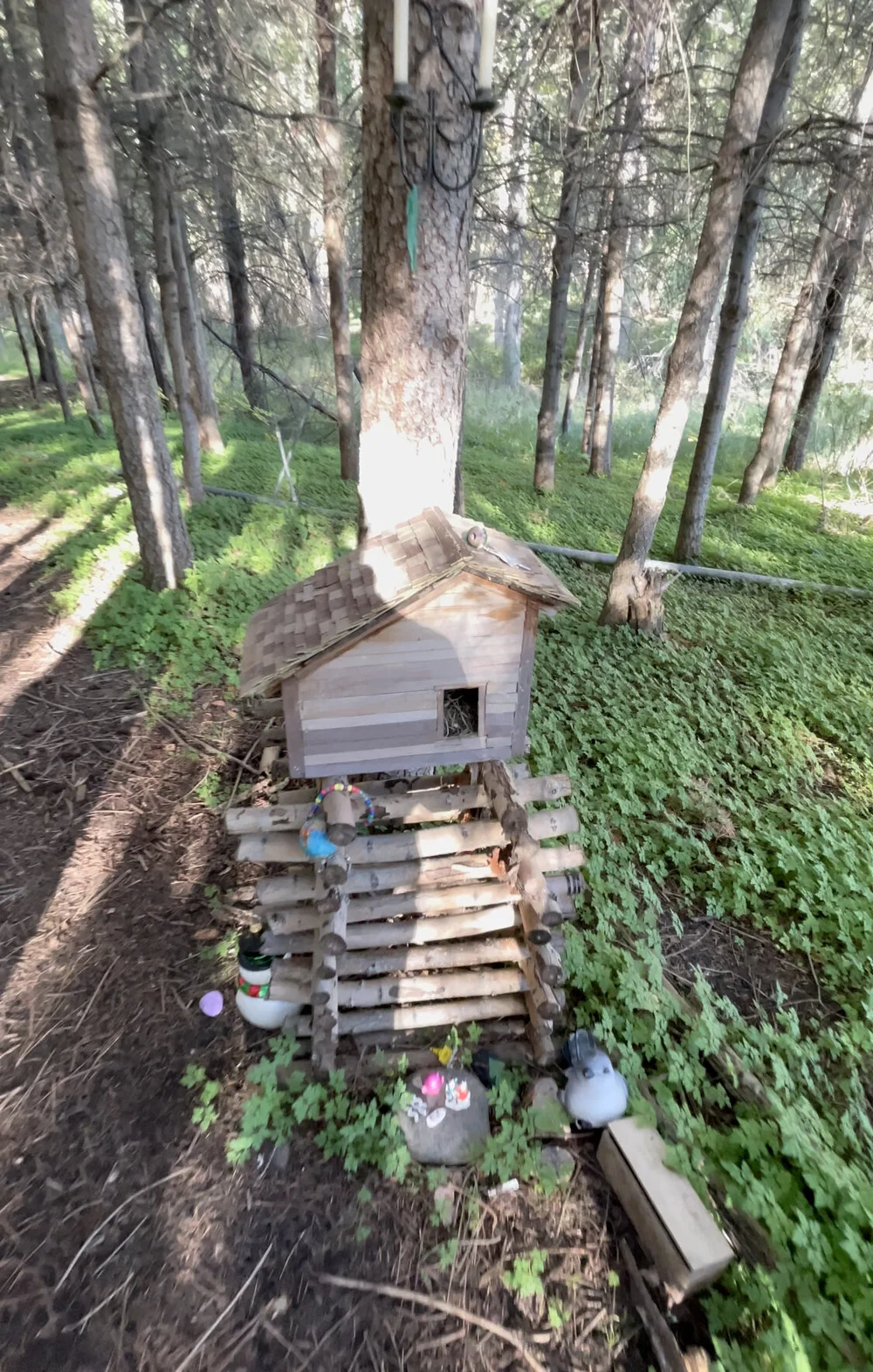 Hidden Troll Forest, Vernon, BC — Exploratory Glory Media Travel and ...