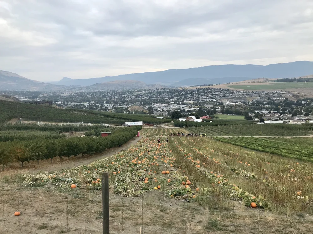 Grey Canal Trail — Exploratory Glory Media Travel and Lifestyle Blogs ...