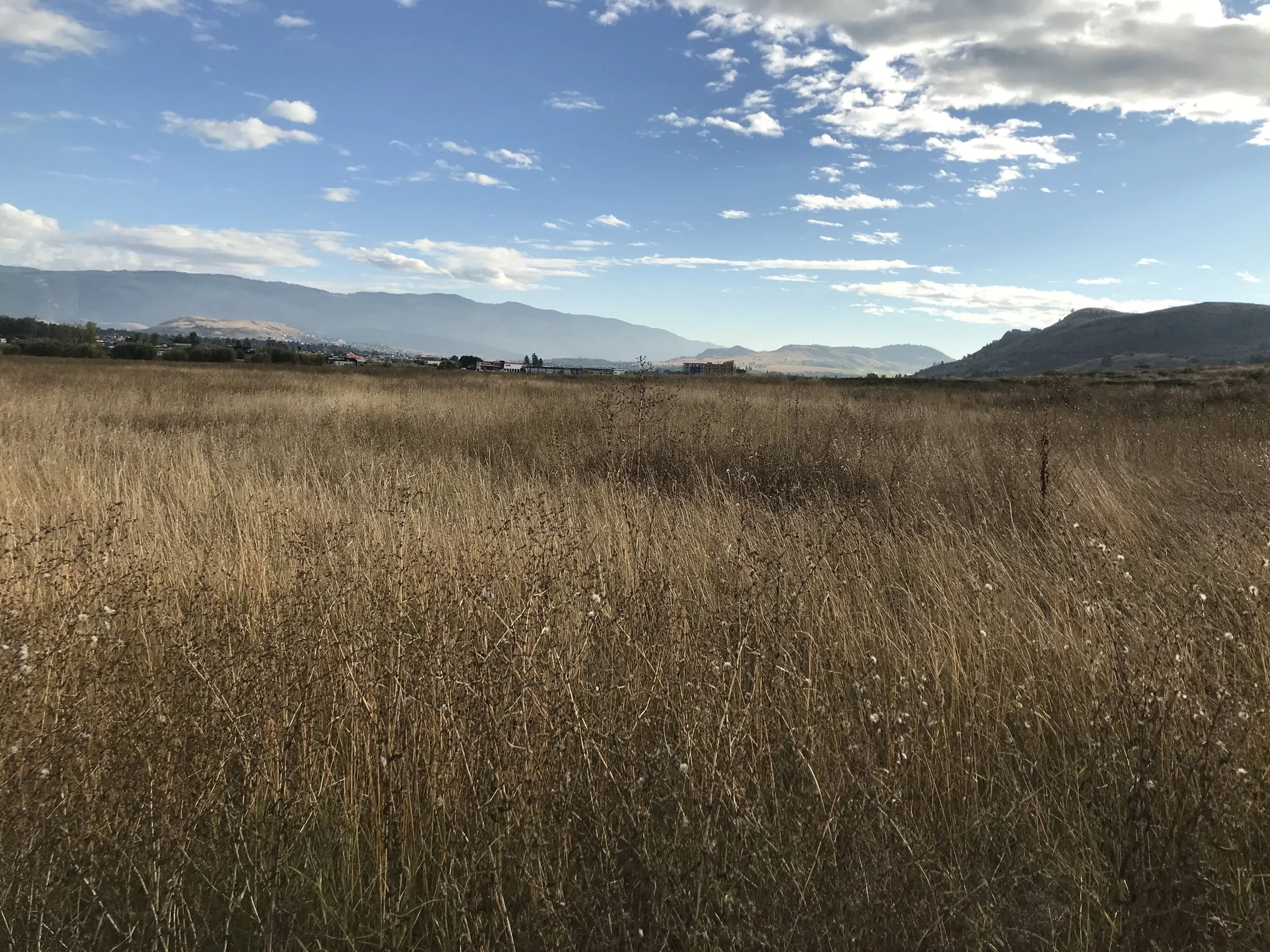 Swan Lake Nature Reserve — Exploratory Glory Media Travel and Lifestyle ...
