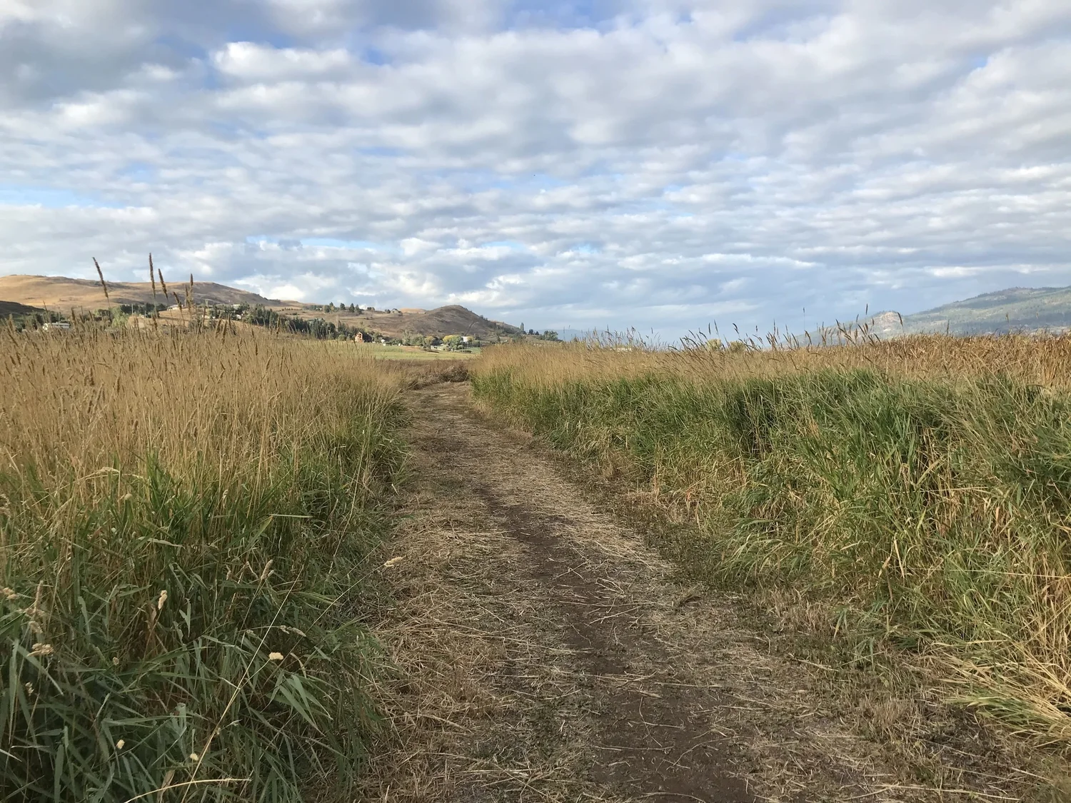 Swan Lake Nature Reserve — Exploratory Glory Media Travel and Lifestyle ...