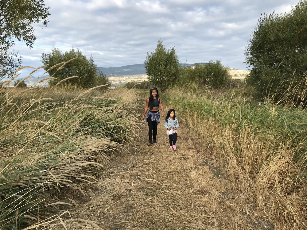 Swan Lake Nature Reserve — Exploratory Glory Media Travel and Lifestyle ...