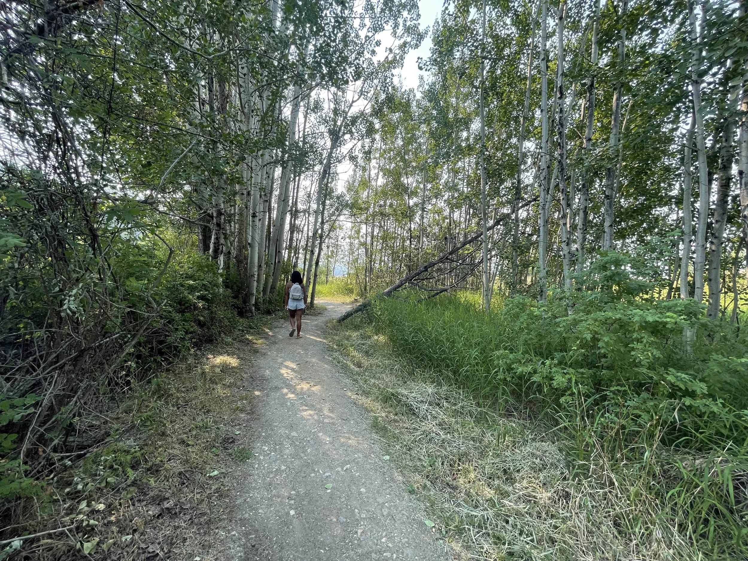 Raven Trail, Salmon Arm — Exploratory Glory Travel Blog