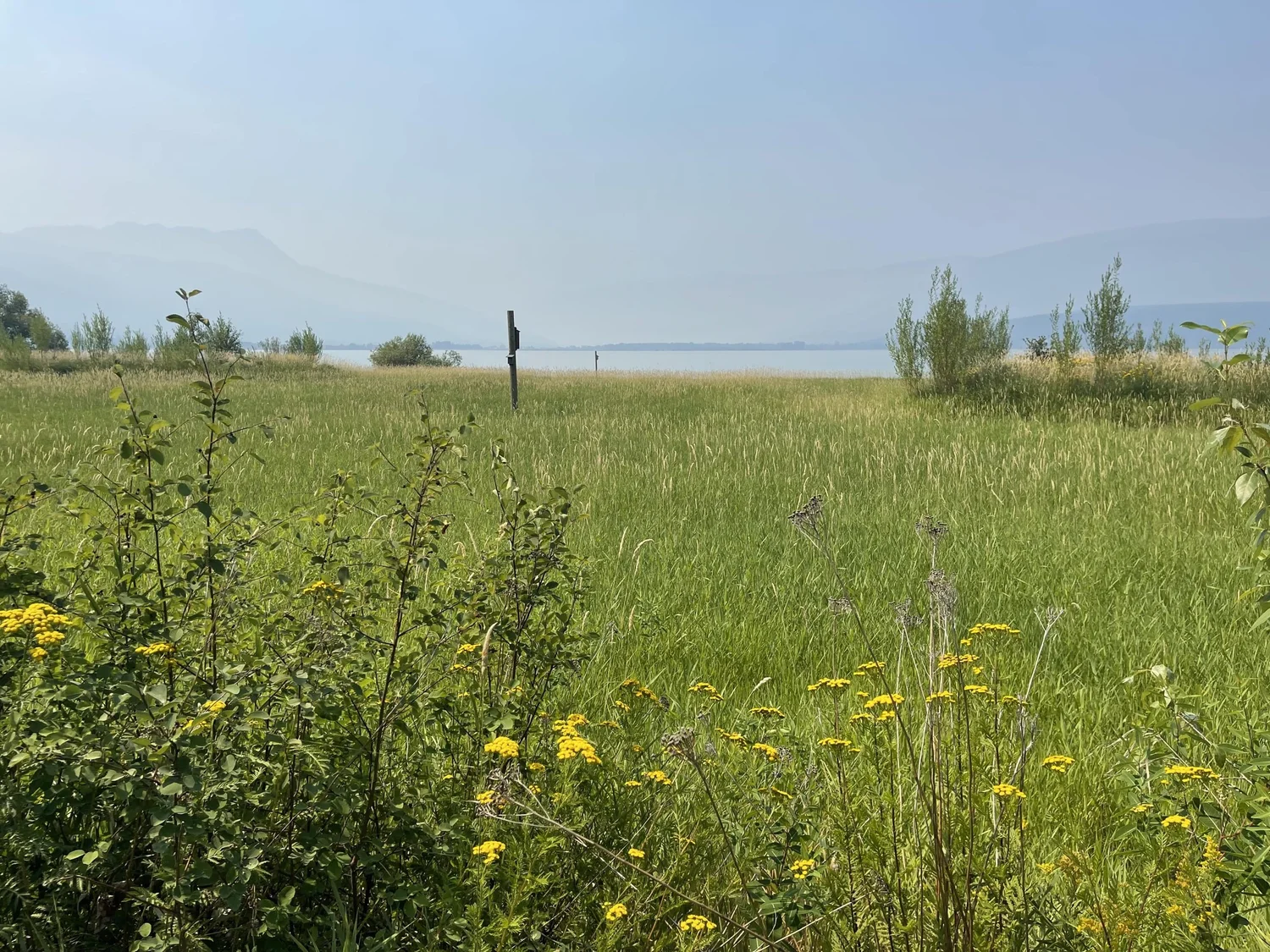 Raven Trail, Salmon Arm — Exploratory Glory Travel Blog