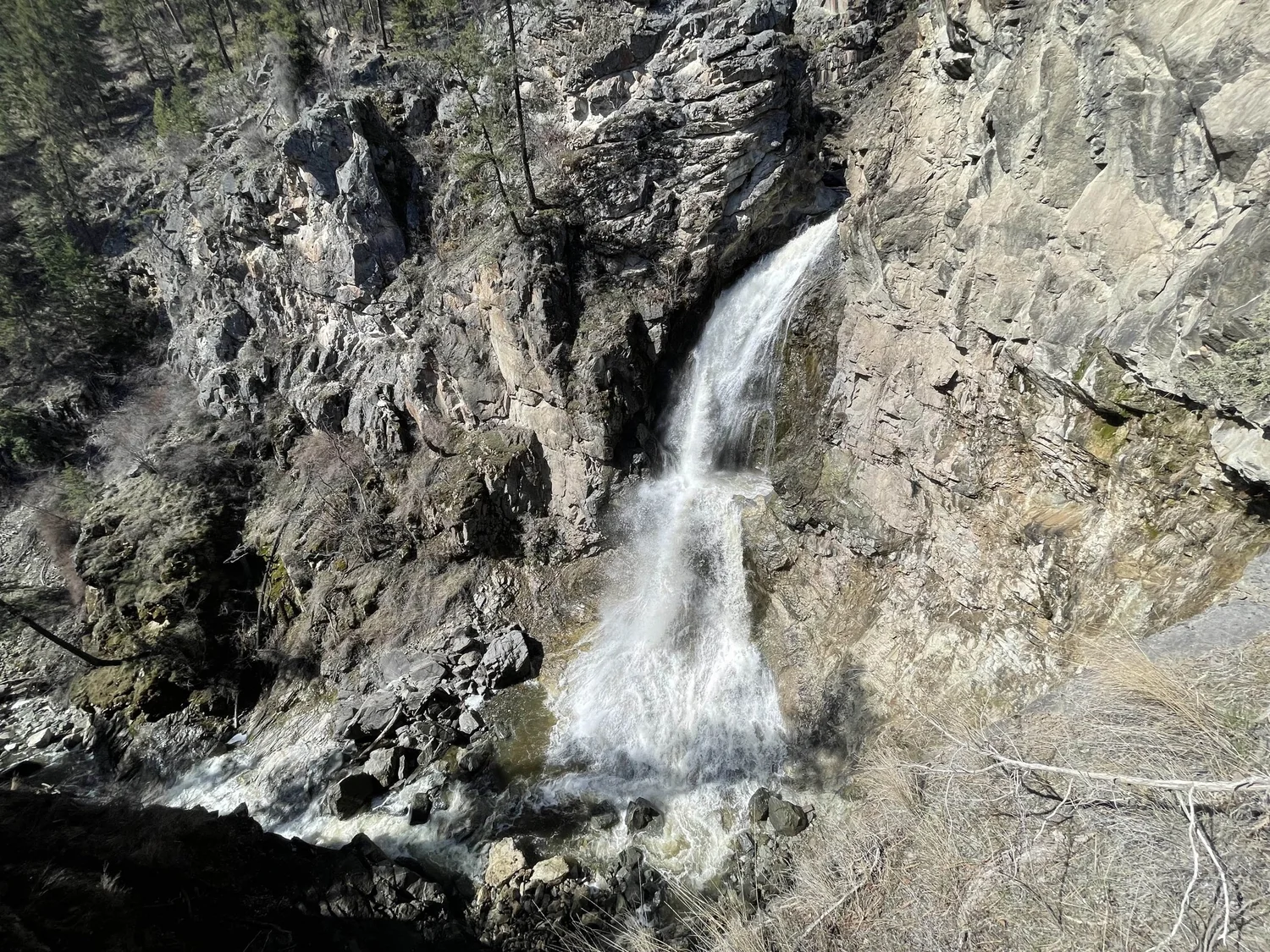 Fintry Provincial Park and Protected Area — Exploratory Glory Media ...