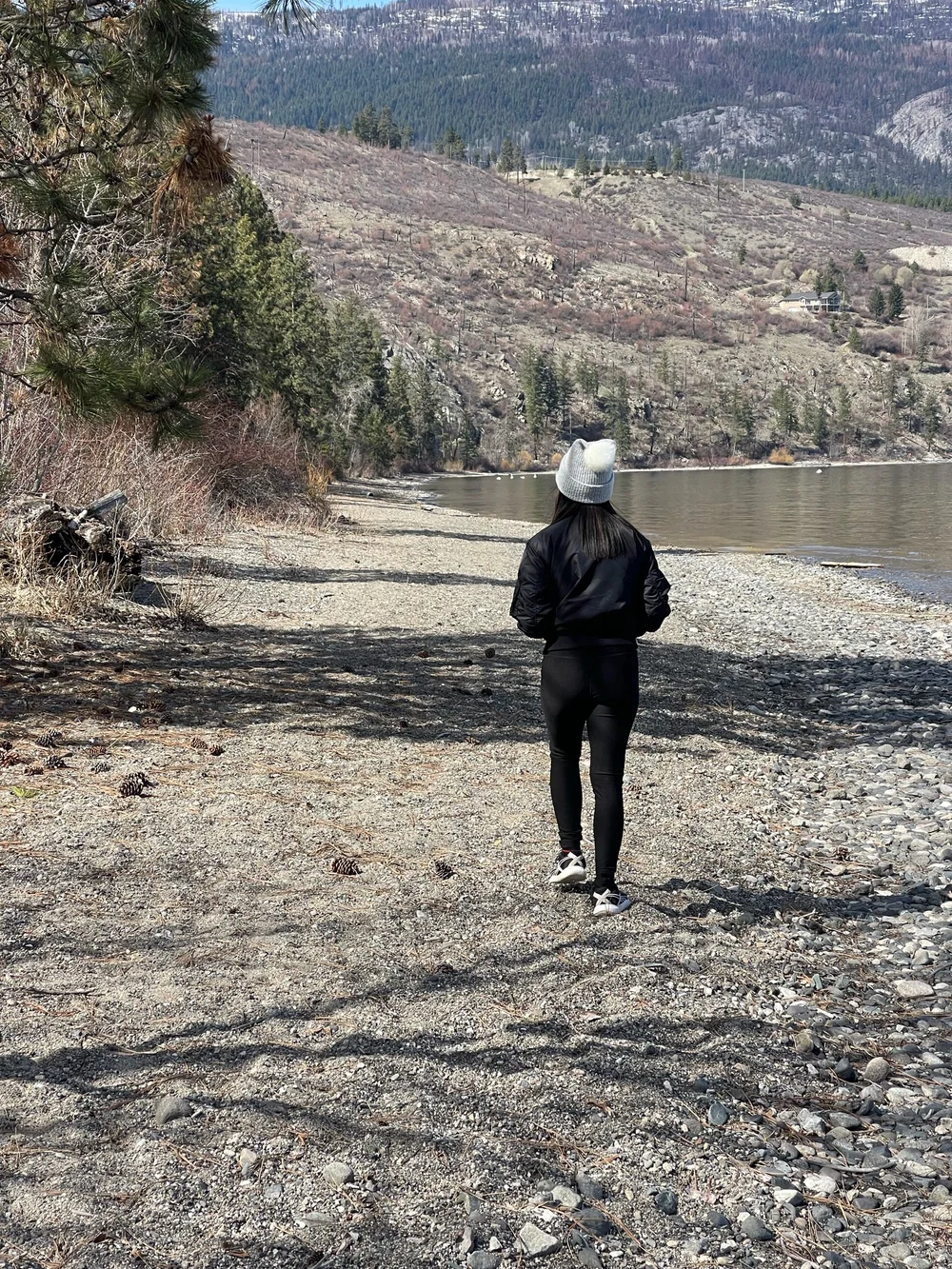 Fintry Provincial Park and Protected Area — Exploratory Glory Media ...