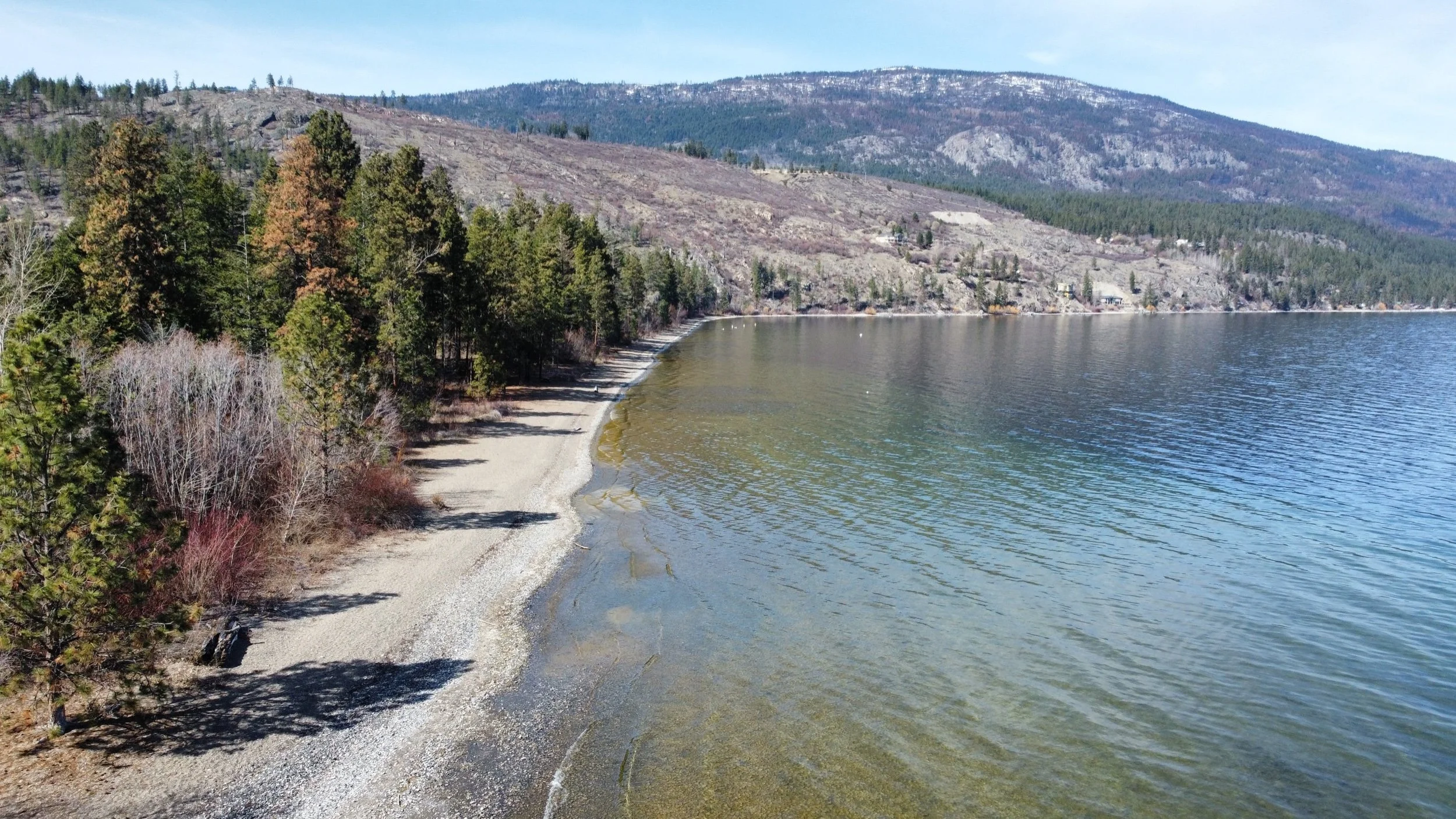 Fintry Provincial Park and Protected Area — Exploratory Glory Media ...