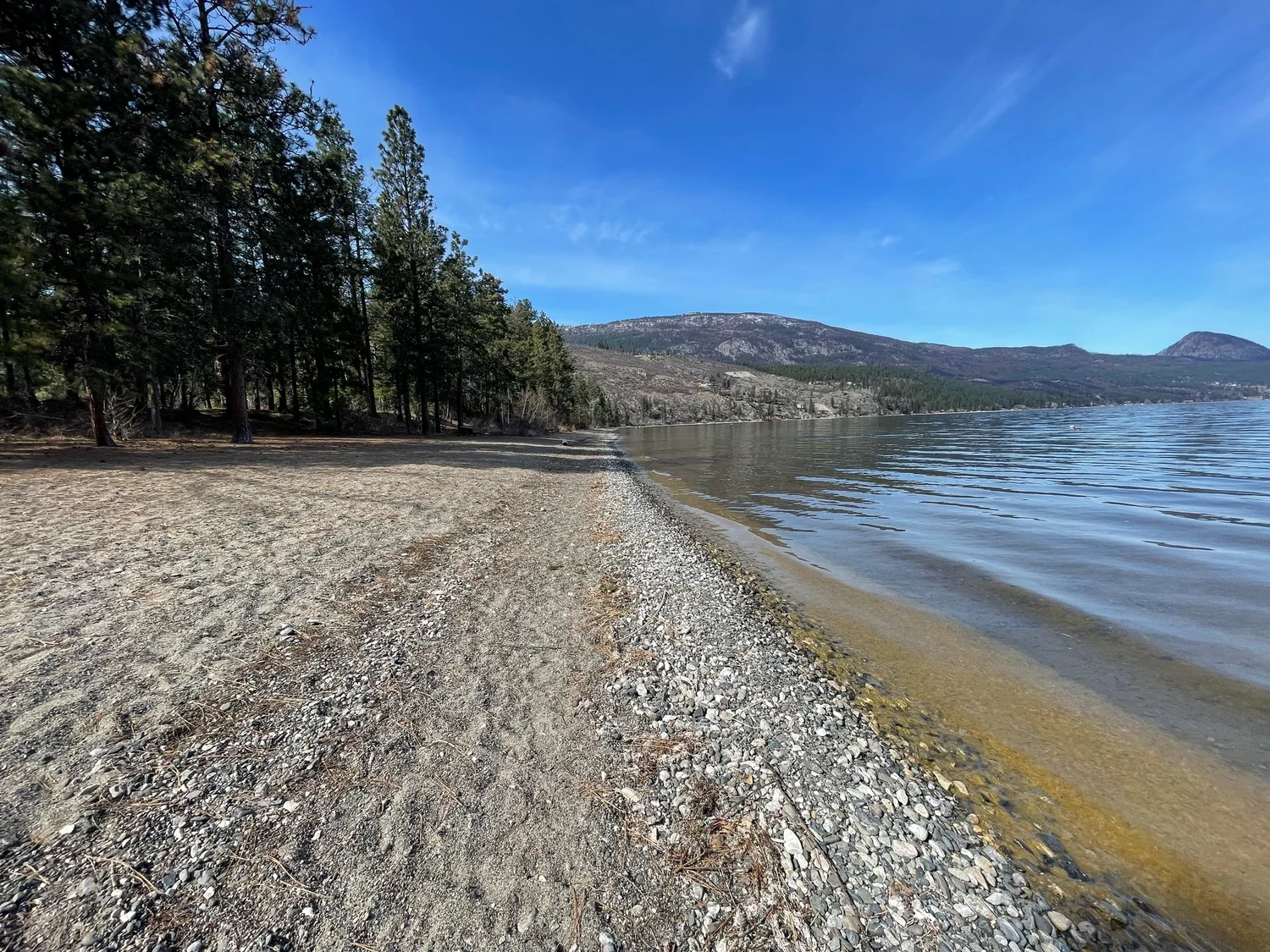 Fintry Provincial Park and Protected Area — Exploratory Glory Media ...