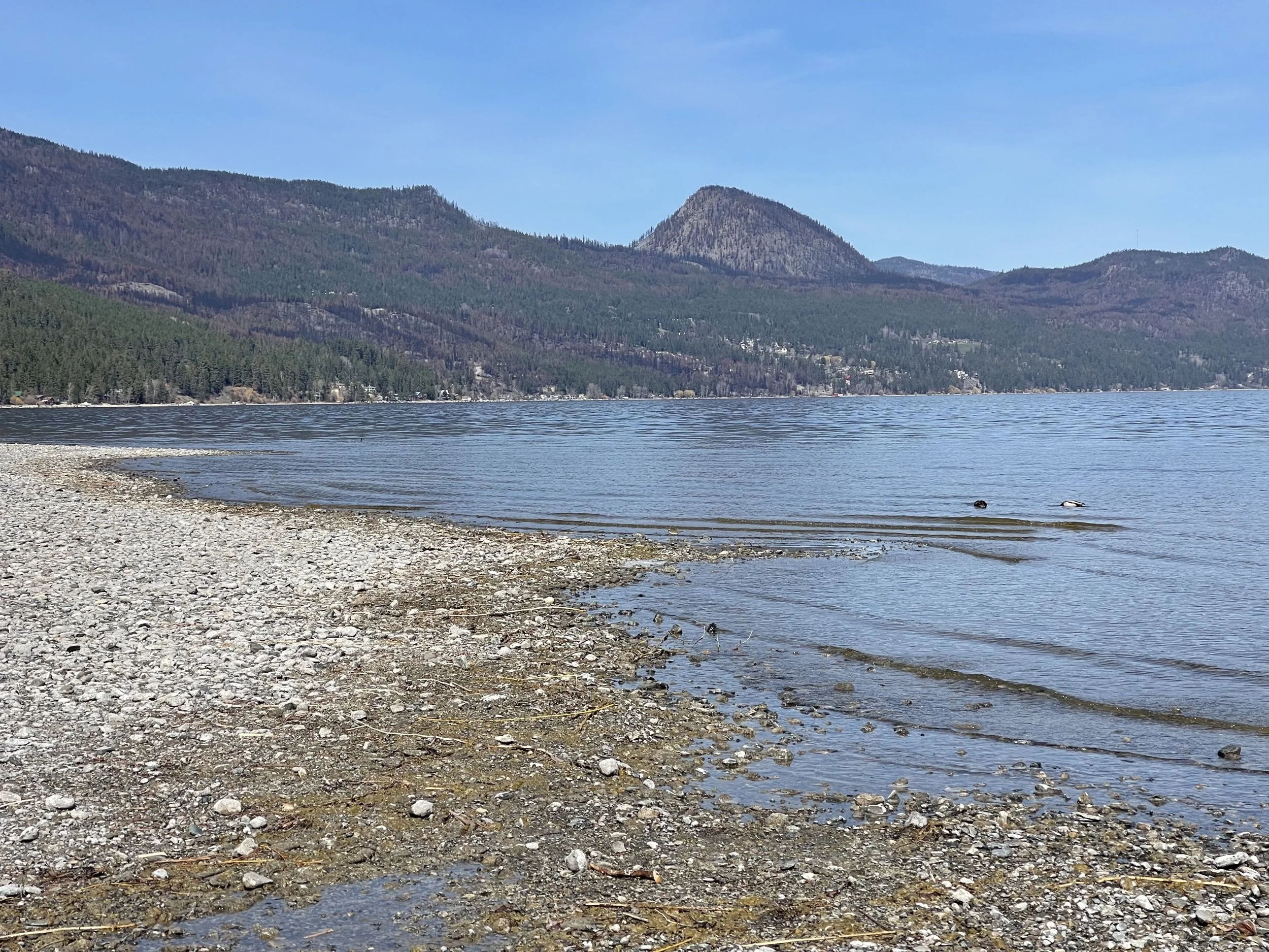 Fintry Provincial Park and Protected Area — Exploratory Glory Media ...