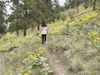 Full Loop Trail, Okanagan Centre — Exploratory Glory Media Travel and ...
