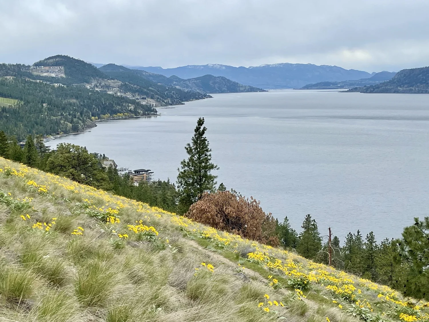 Full Loop Trail, Okanagan Centre — Exploratory Glory Media Travel and ...
