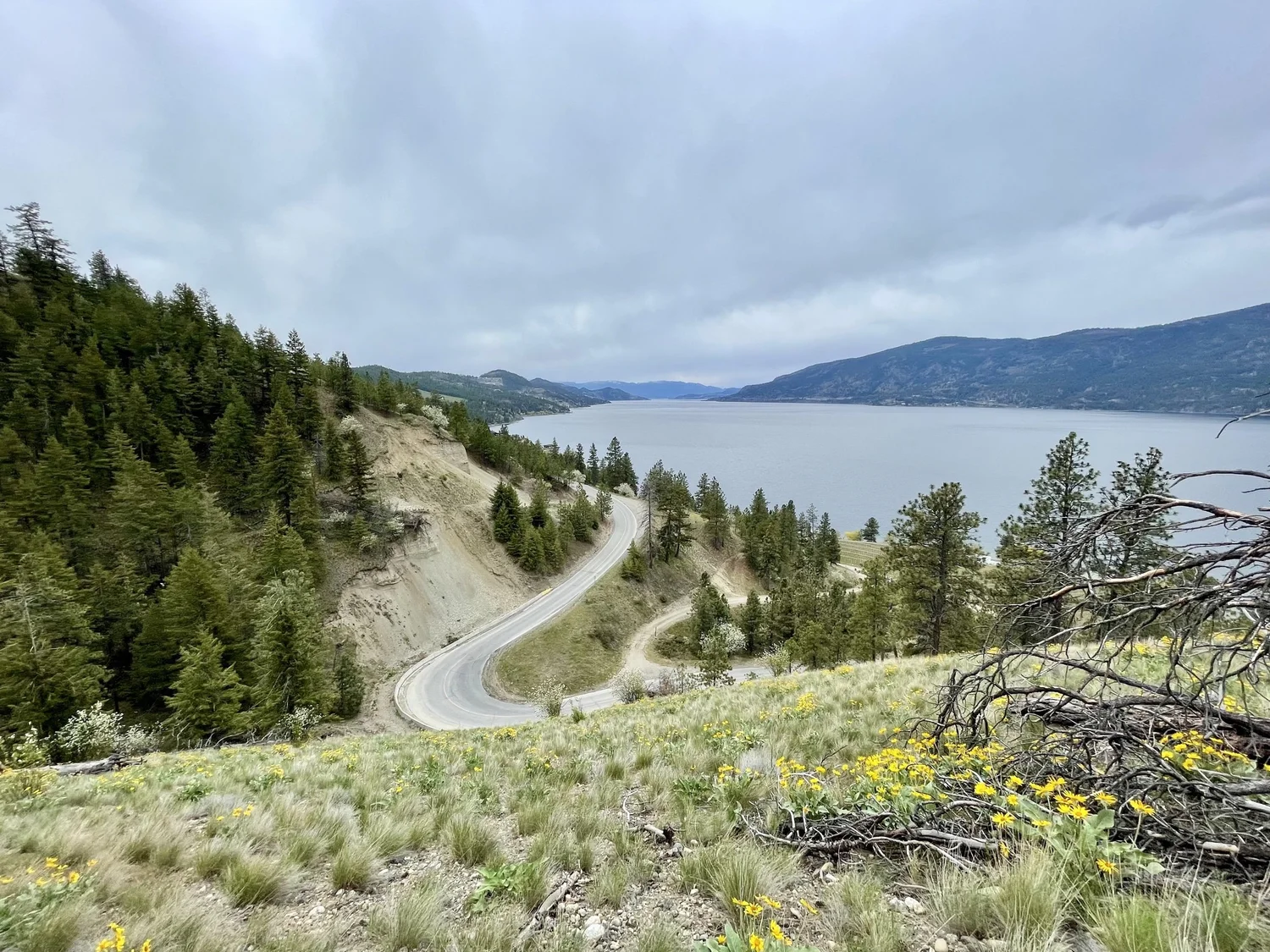 Full Loop Trail, Okanagan Centre — Exploratory Glory Media Travel and ...