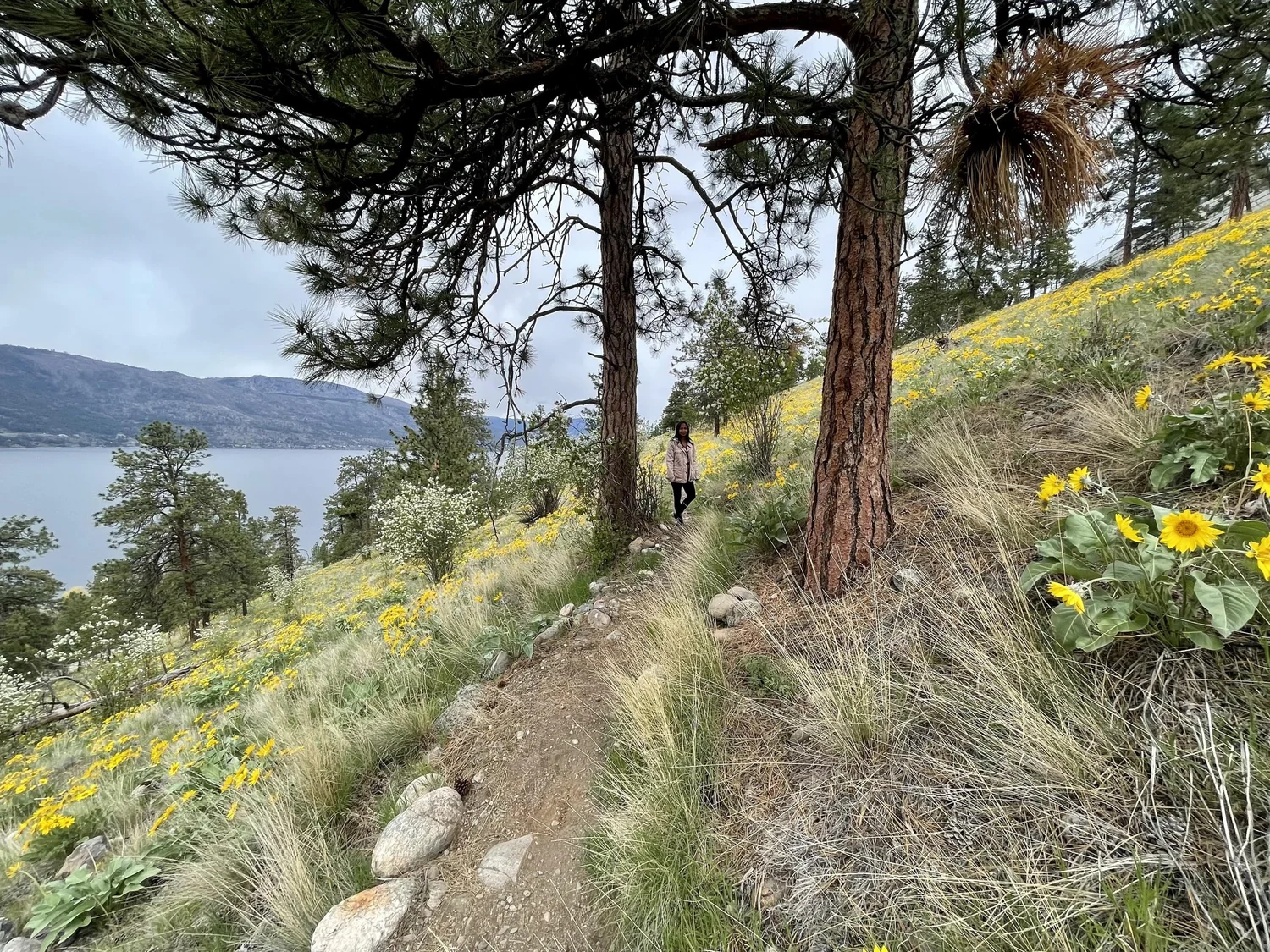 Full Loop Trail, Okanagan Centre — Exploratory Glory Media Travel and ...