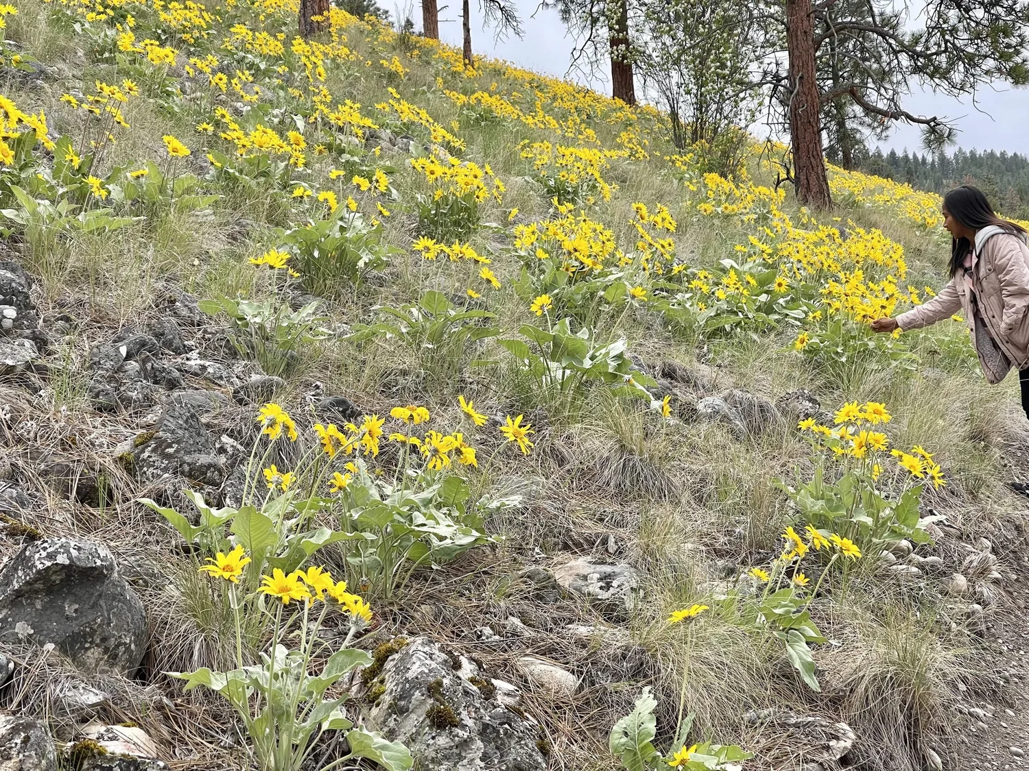 Full Loop Trail, Okanagan Centre — Exploratory Glory Media Travel and ...
