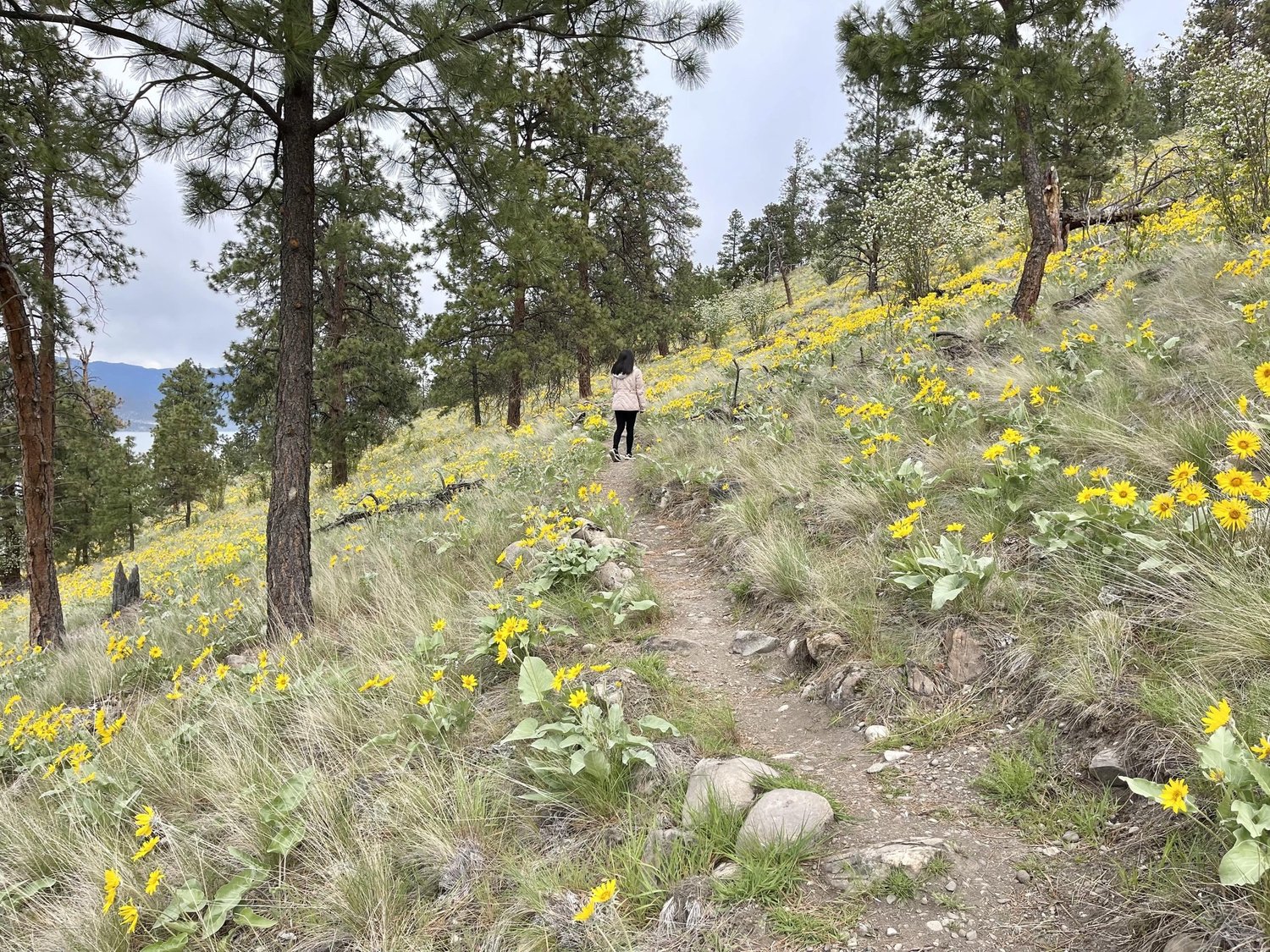 Full Loop Trail, Okanagan Centre — Exploratory Glory Media Travel and ...