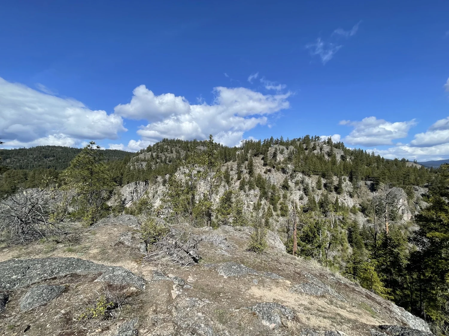 Pincushion Mountain Trail — Exploratory Glory Media Travel and ...
