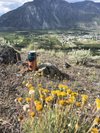 Keremeos Lower Tower Trail (Pincushion Trailhead) — Exploratory Glory ...