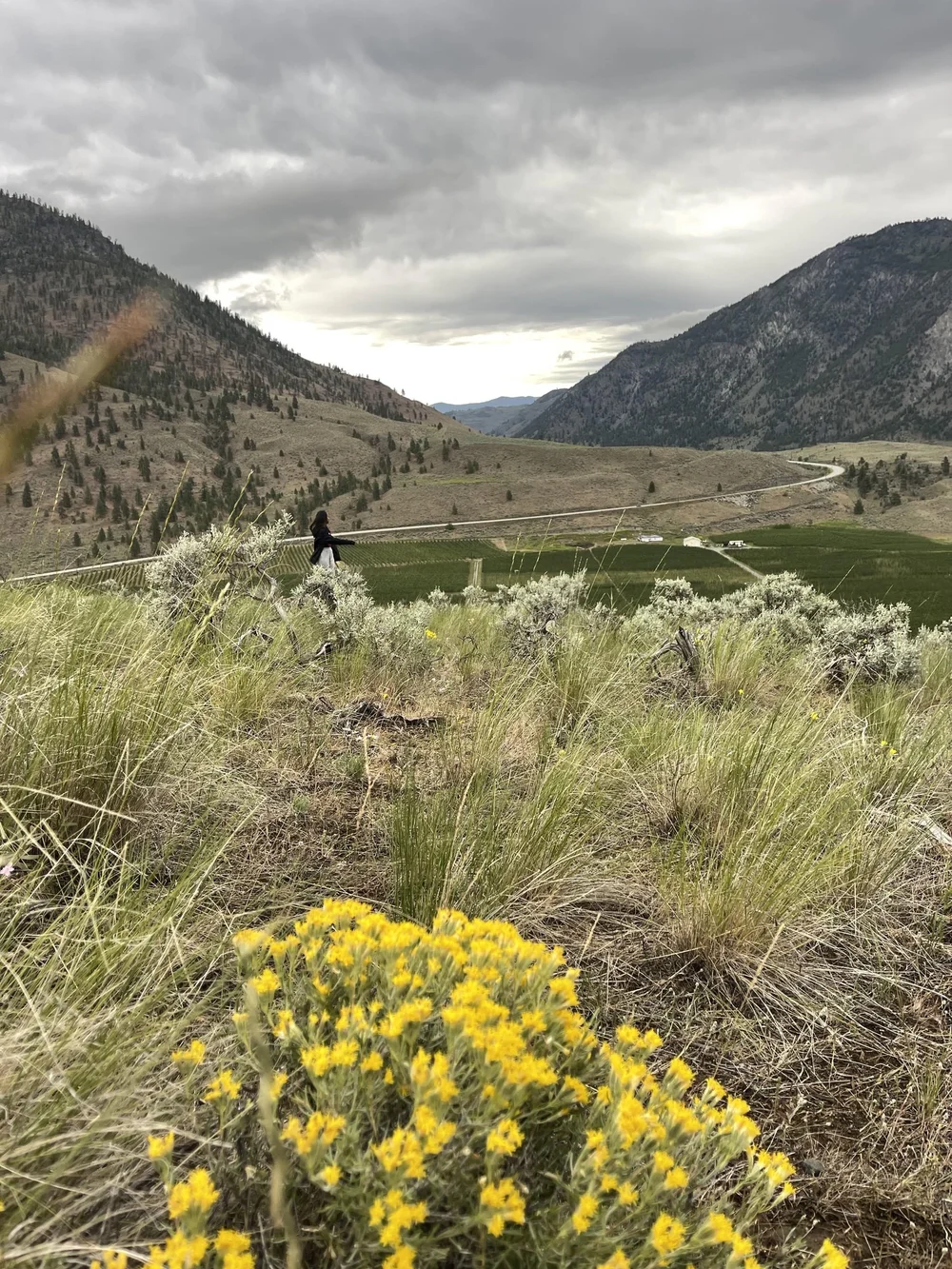 Nighthawk Hill Trail, Cawston, BC — Exploratory Glory Media Travel and ...