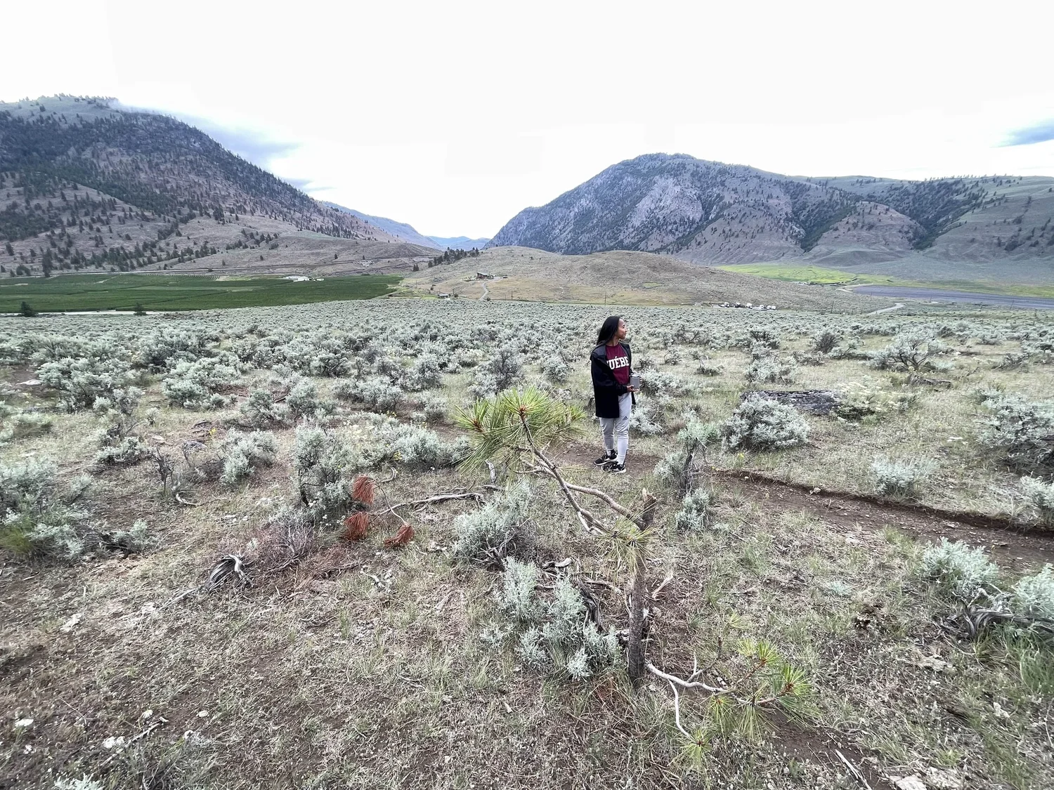 Nighthawk Hill Trail, Cawston, BC — Exploratory Glory Media Travel and ...