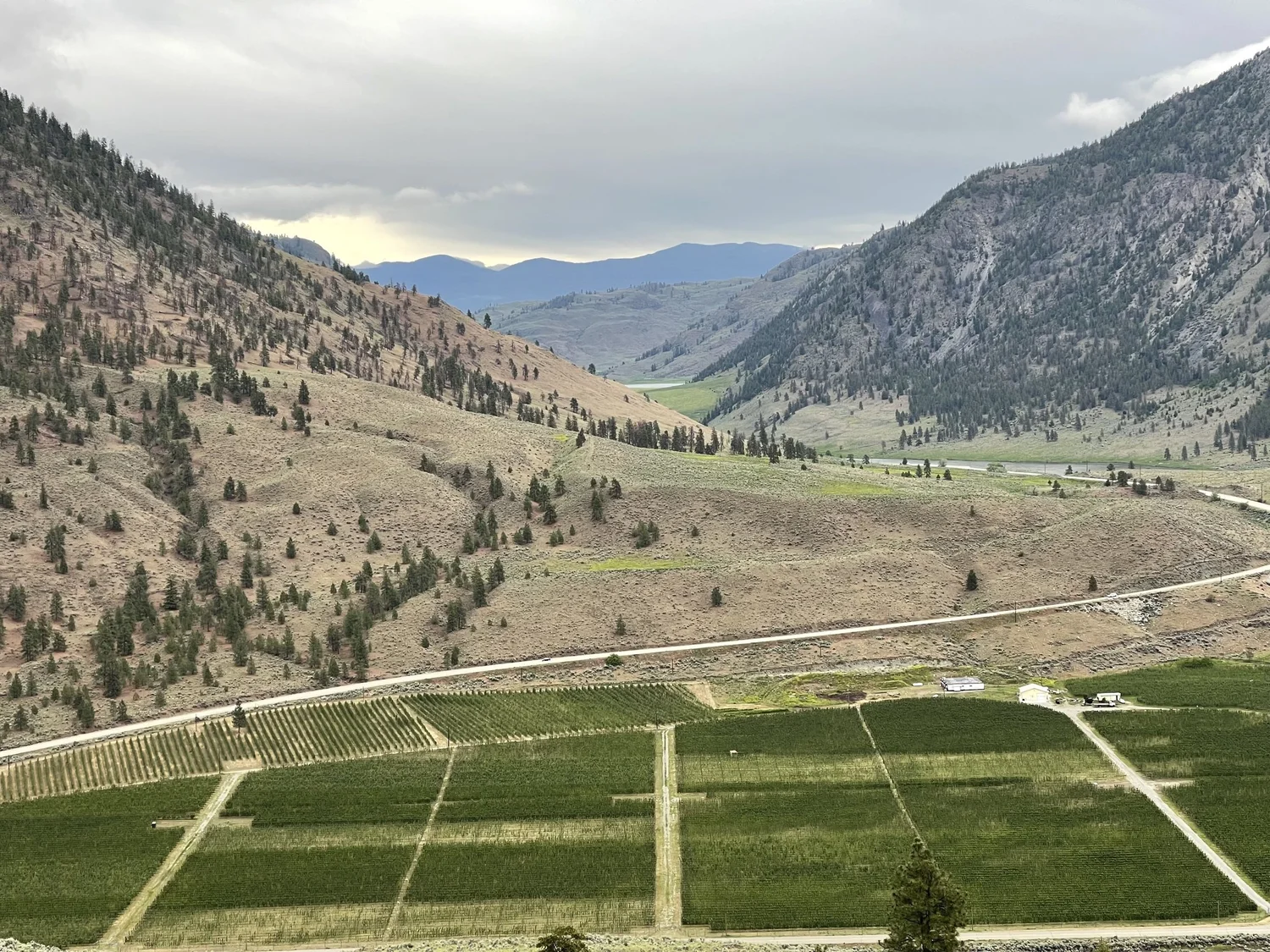 Nighthawk Hill Trail, Cawston, BC — Exploratory Glory Media Travel and ...