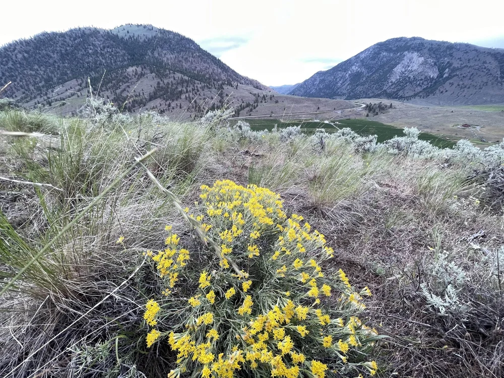 Nighthawk Hill Trail, Cawston, BC — Exploratory Glory Media Travel and ...