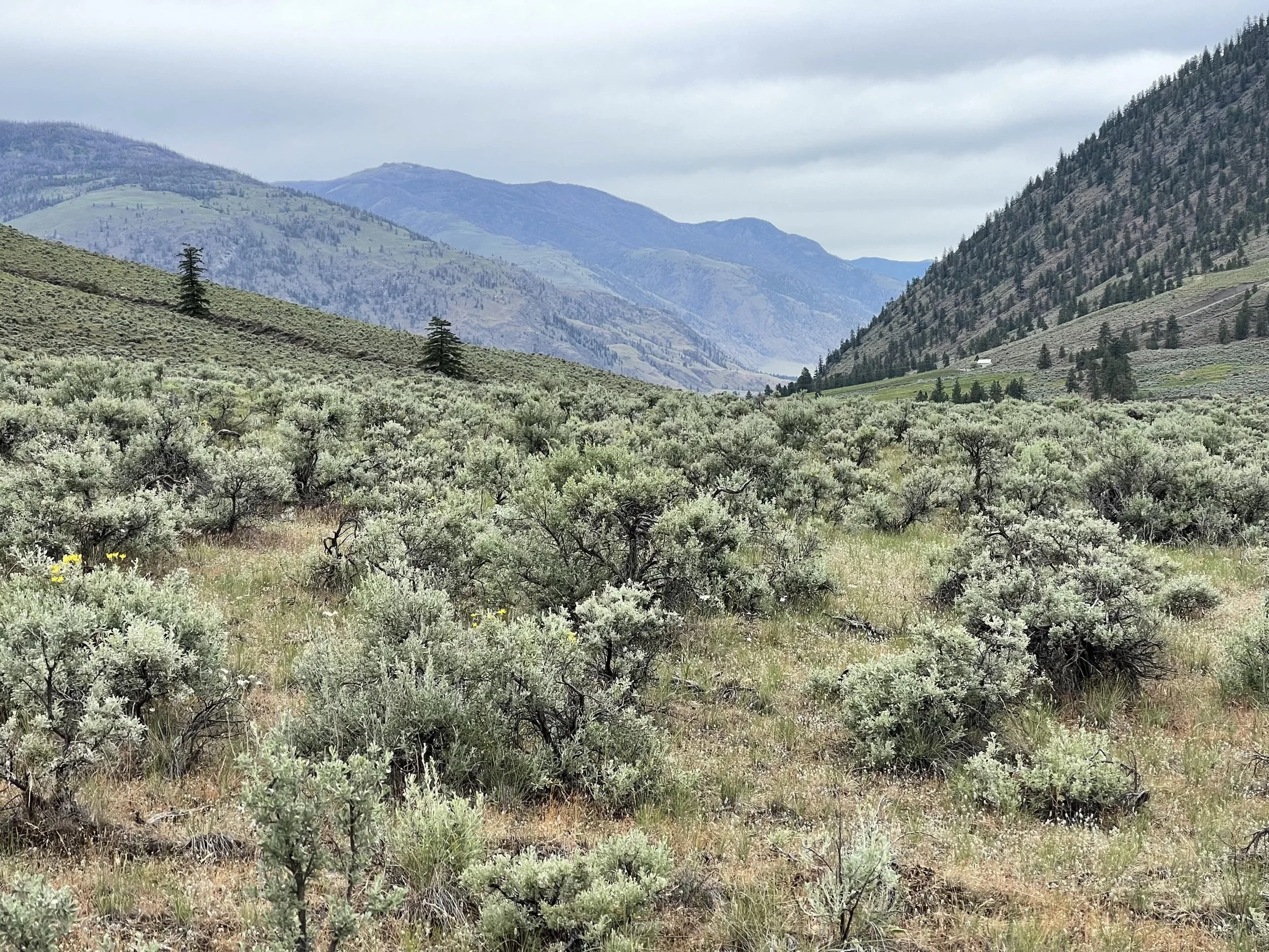 Nighthawk Hill Trail, Cawston, BC — Exploratory Glory Media Travel and ...