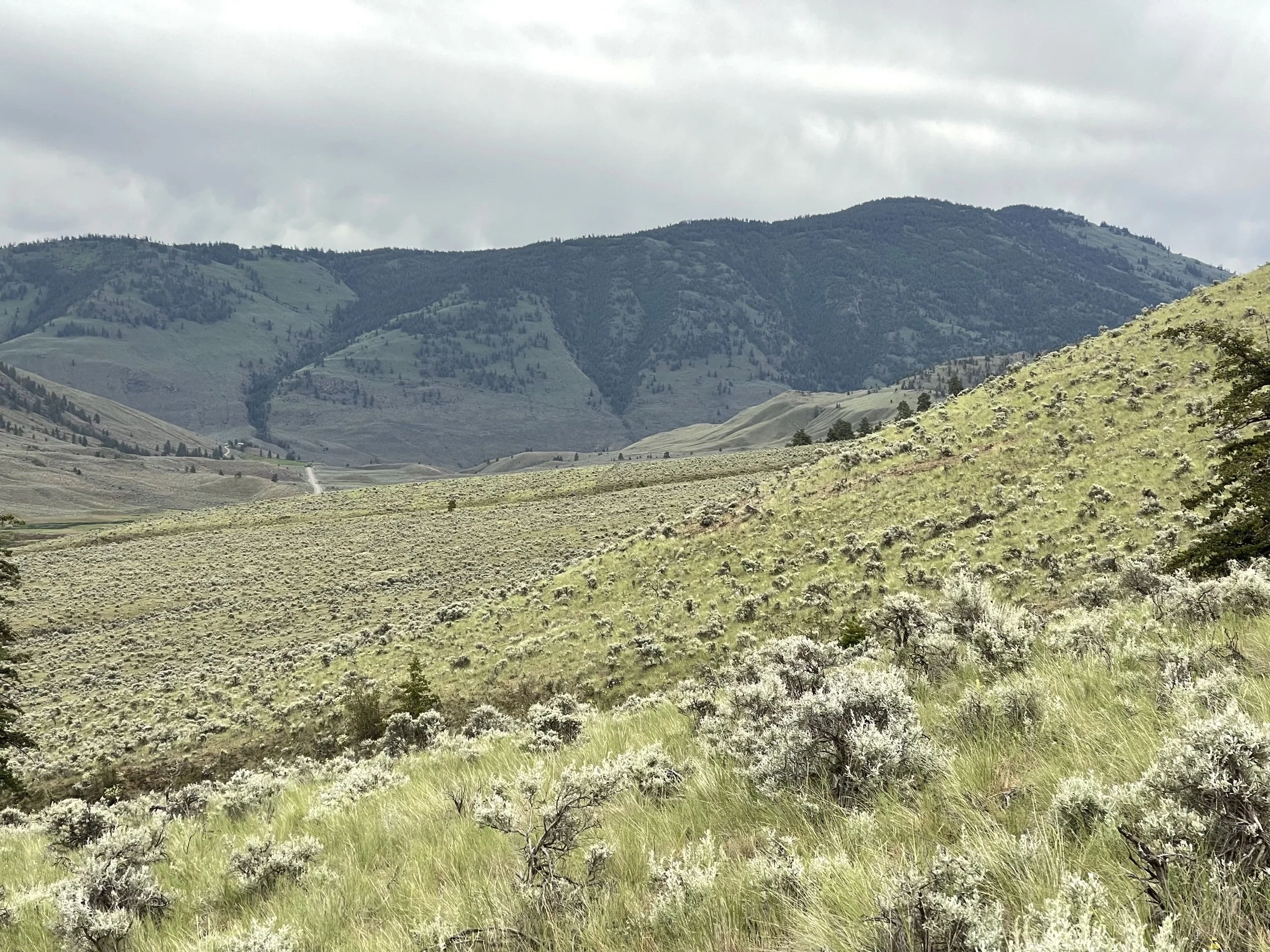 Nighthawk Hill Trail, Cawston, BC — Exploratory Glory Media Travel and ...