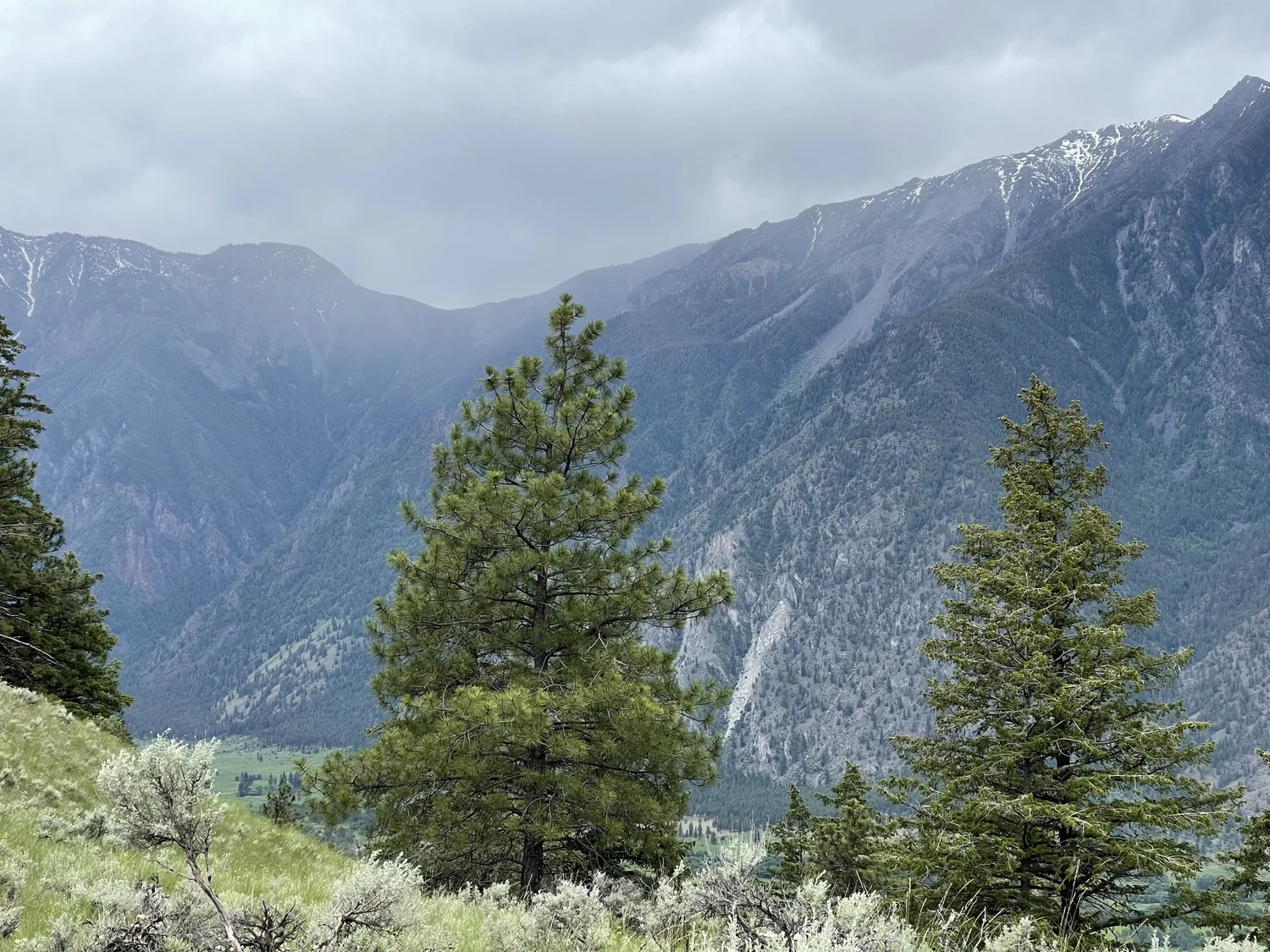 Nighthawk Hill Trail, Cawston, BC — Exploratory Glory Media Travel and ...