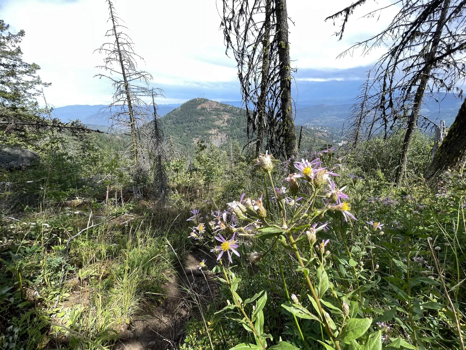 Mount Roberts Hiking Trail, Rossland, BC — Exploratory Glory Media ...