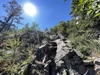 Mount Roberts Hiking Trail, Rossland, BC — Exploratory Glory Media ...