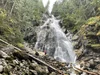 Kay Falls, Sicamous — Exploratory Glory Media Travel and Lifestyle ...
