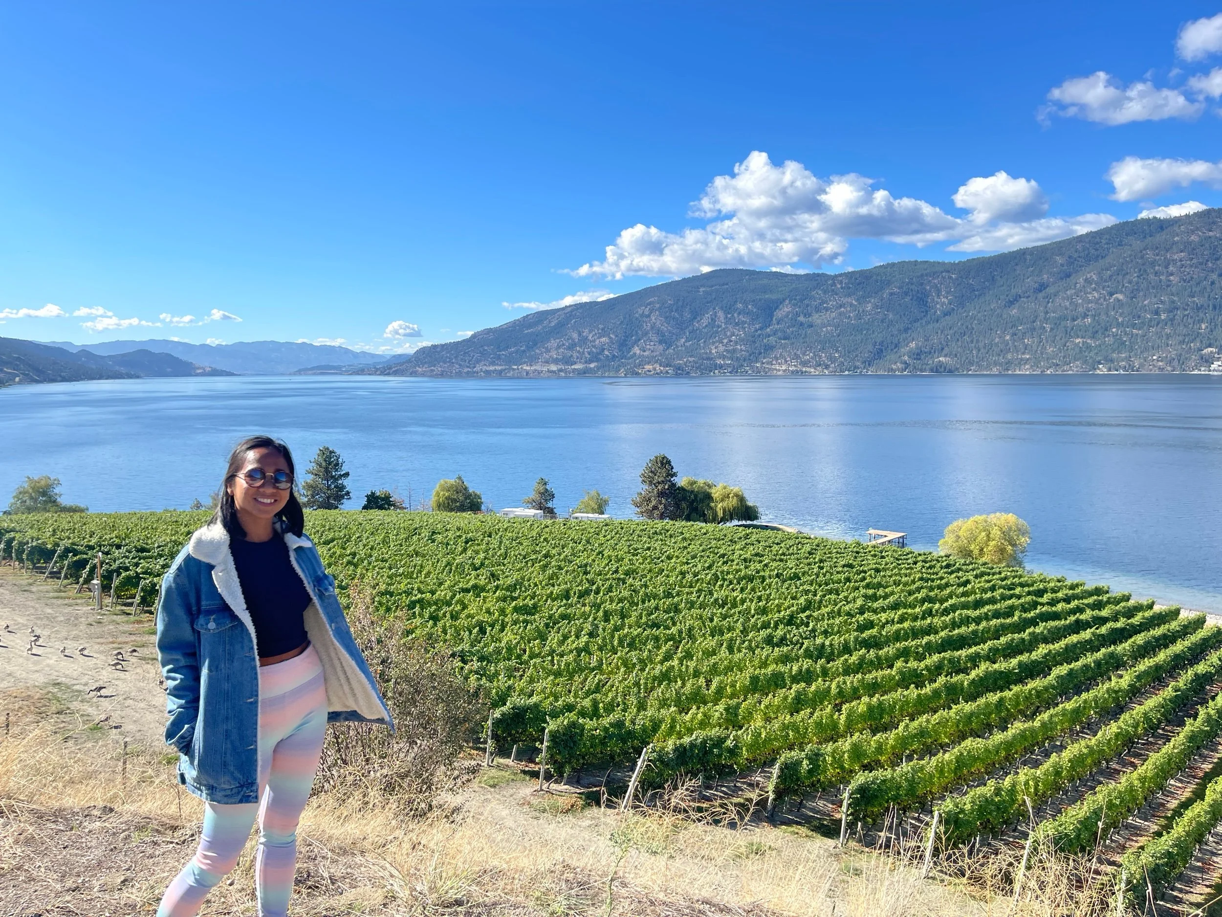 The Best Daytrips To Take In The Okanagan Valley Exploratory Glory