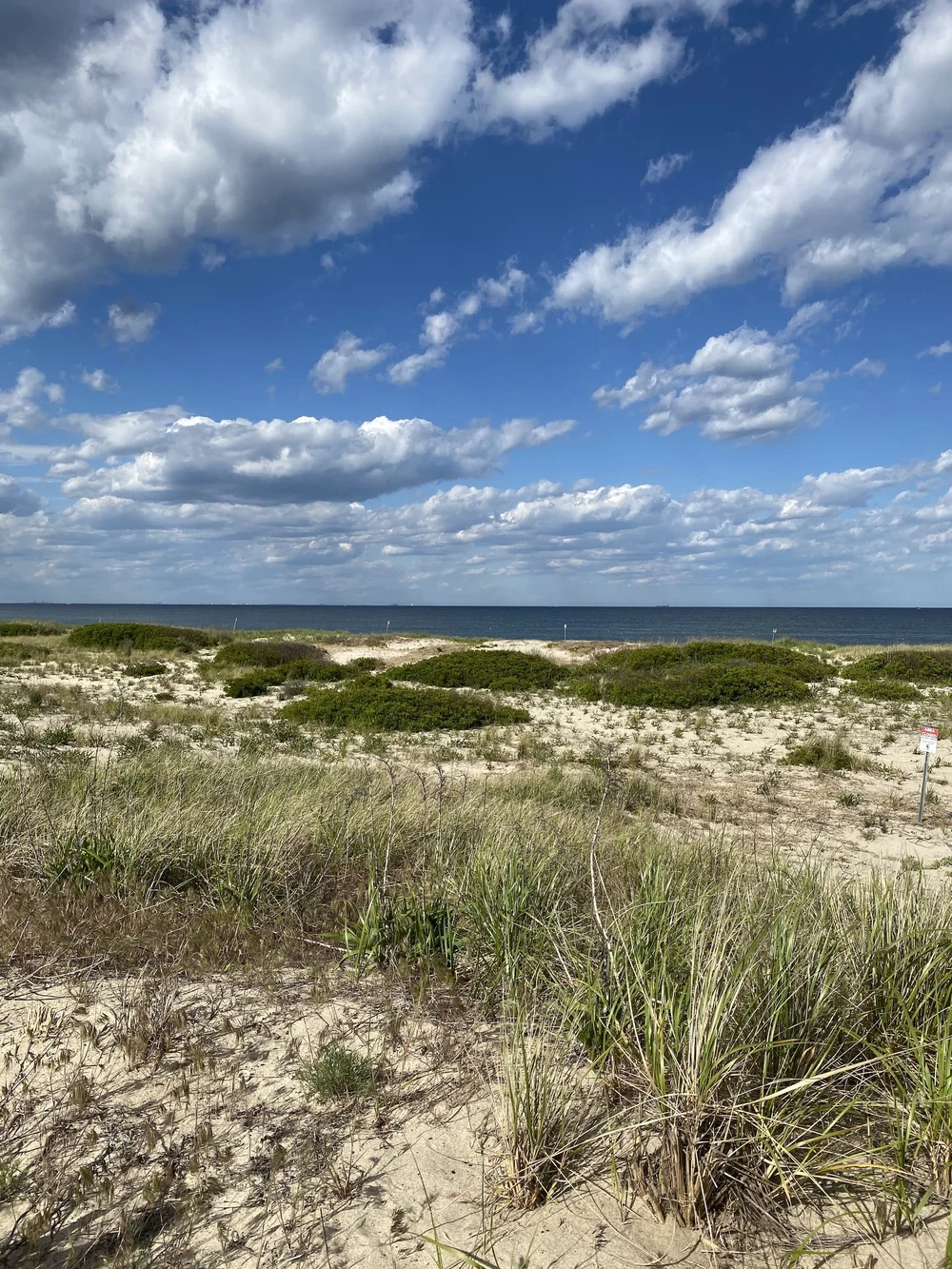 Sea, Sun, and Sand: A Guide to New Jersey’s Most Beautiful Beach Spots ...