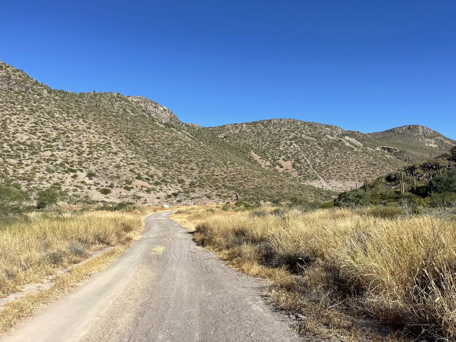 Bahia Magdalena Trail, La Paz, Mexico — Exploratory Glory Media Travel ...