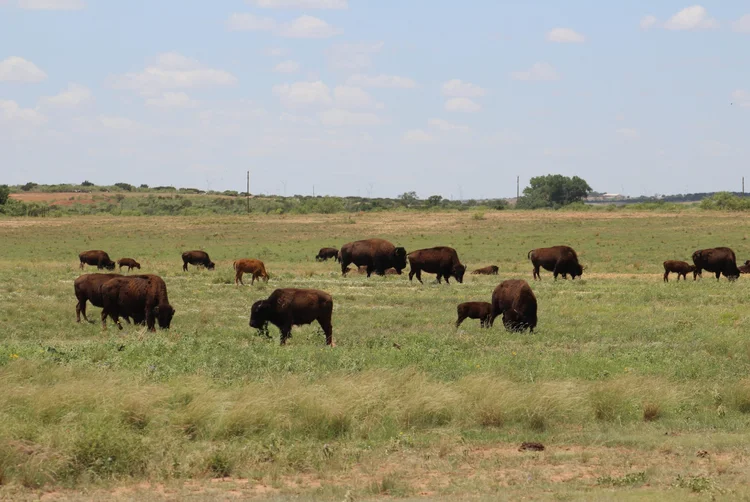 Why the Texas Panhandle is a Can’t Miss Trip — Exploratory Glory Media ...