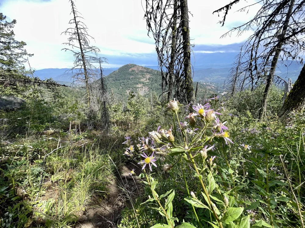 Guide to Travel Rossland, British Columbia — Exploratory Glory Media ...