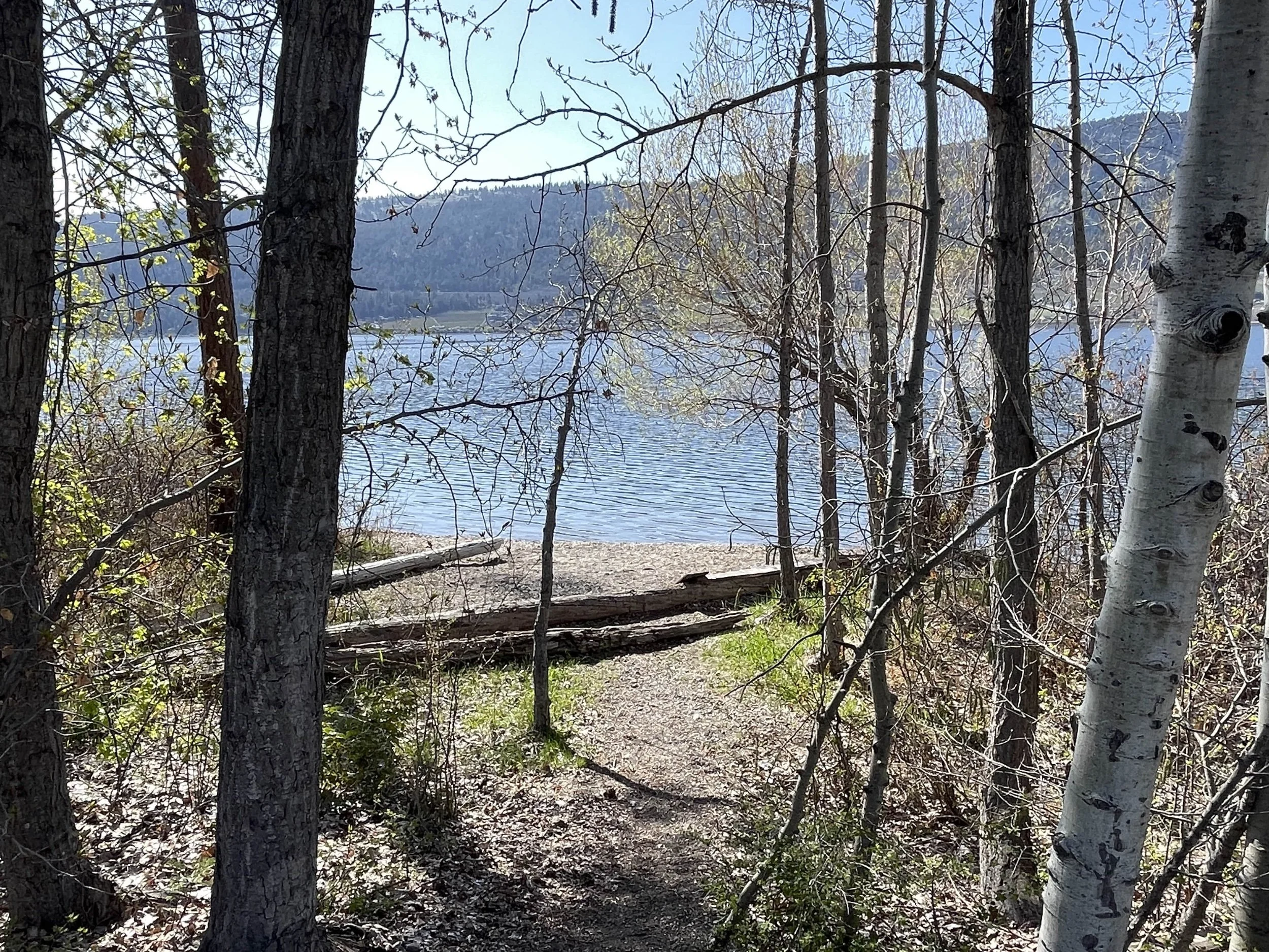 Wood Lake Loop, Okanagan Valley, BC — Exploratory Glory Media Travel ...