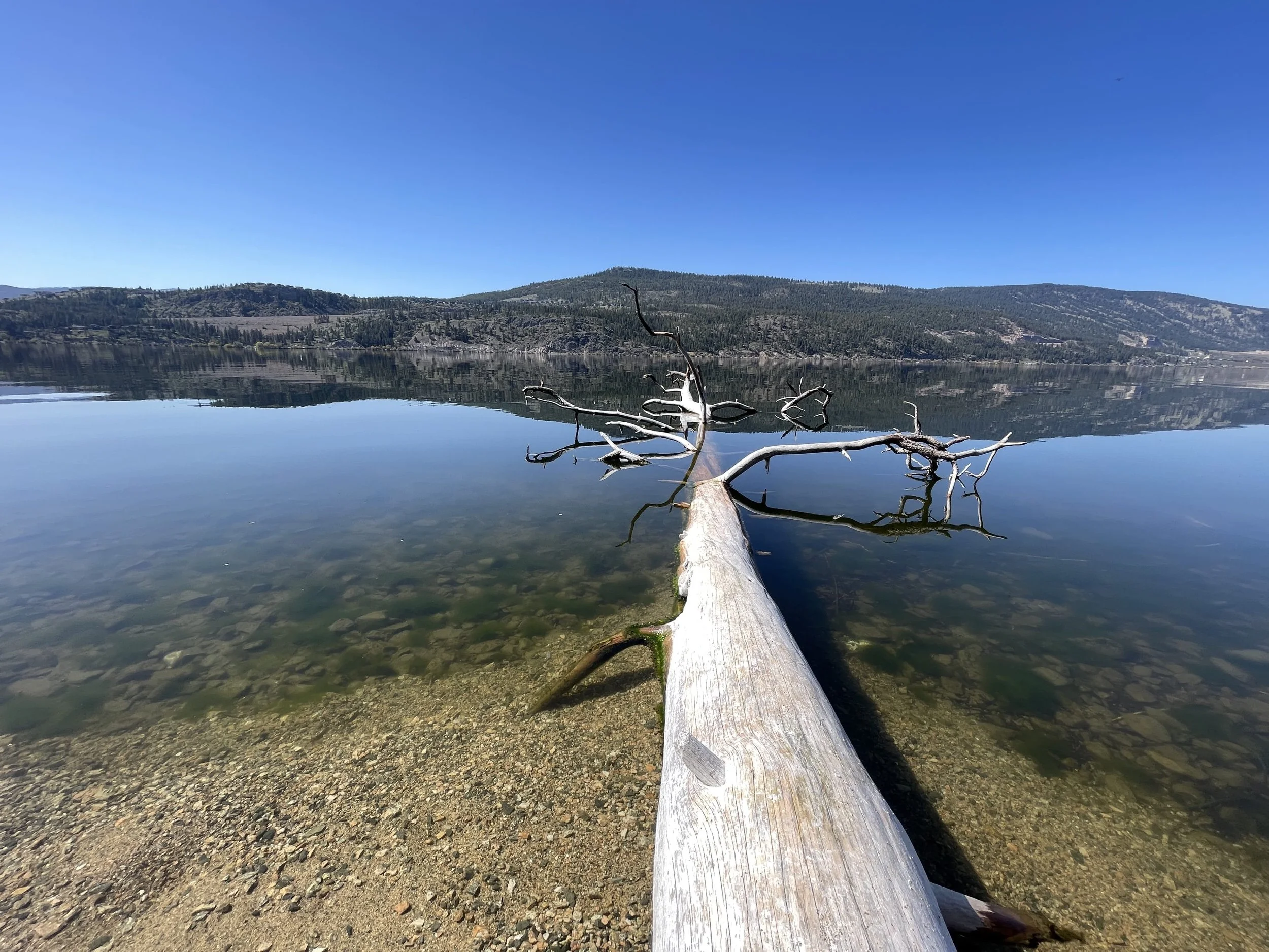 Wood Lake Loop, Okanagan Valley, BC — Exploratory Glory Media Travel ...