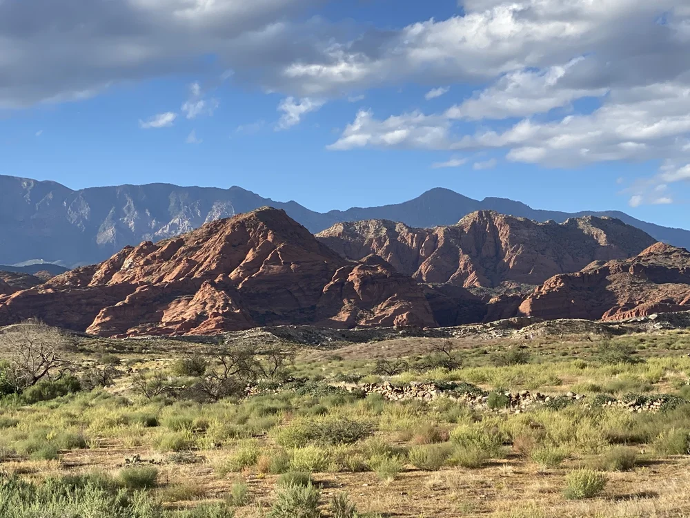 Red Cliffs National Conservation Area — Exploratory Glory Media Travel ...