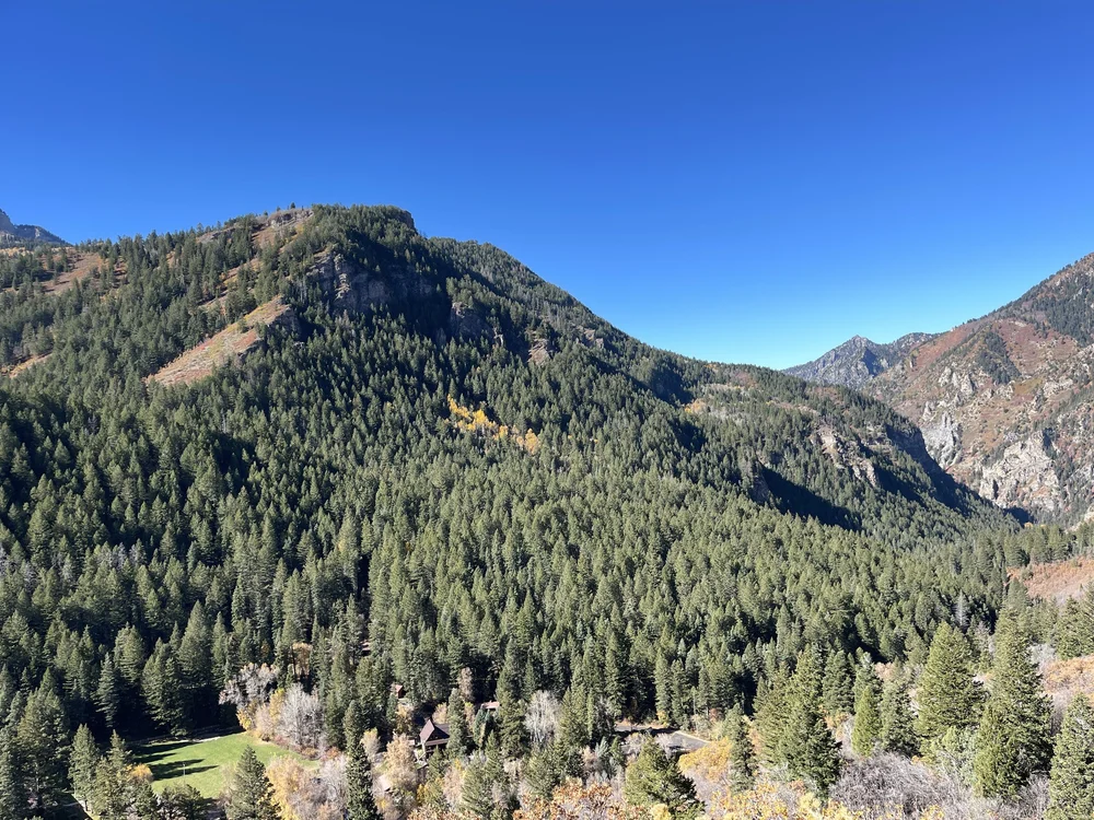 Alpine Loop Scenic Drive | Utah — Exploratory Glory Media Travel and ...