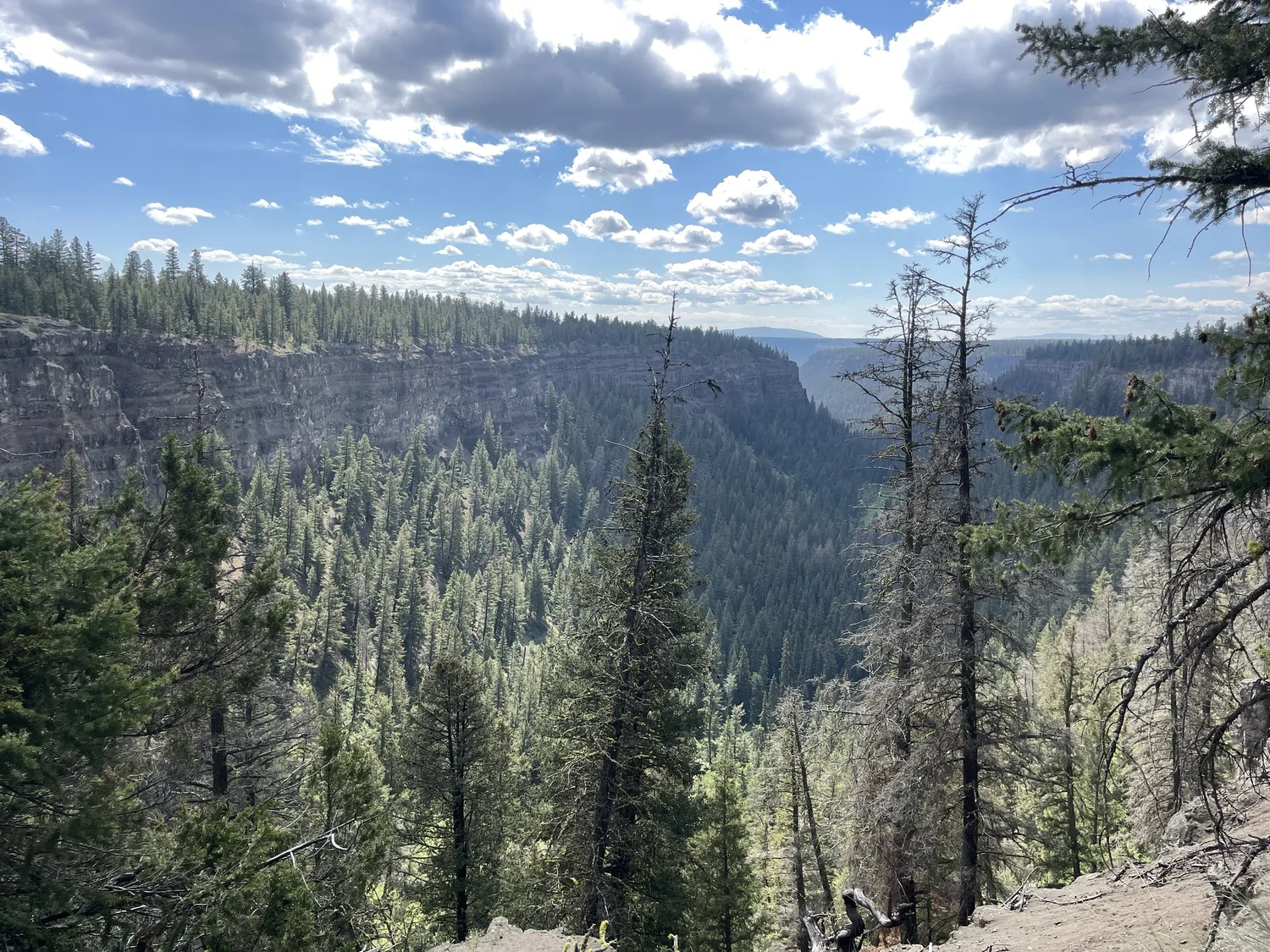Chasm Provincial Park | Clinton, British Columbia — Exploratory Glory ...
