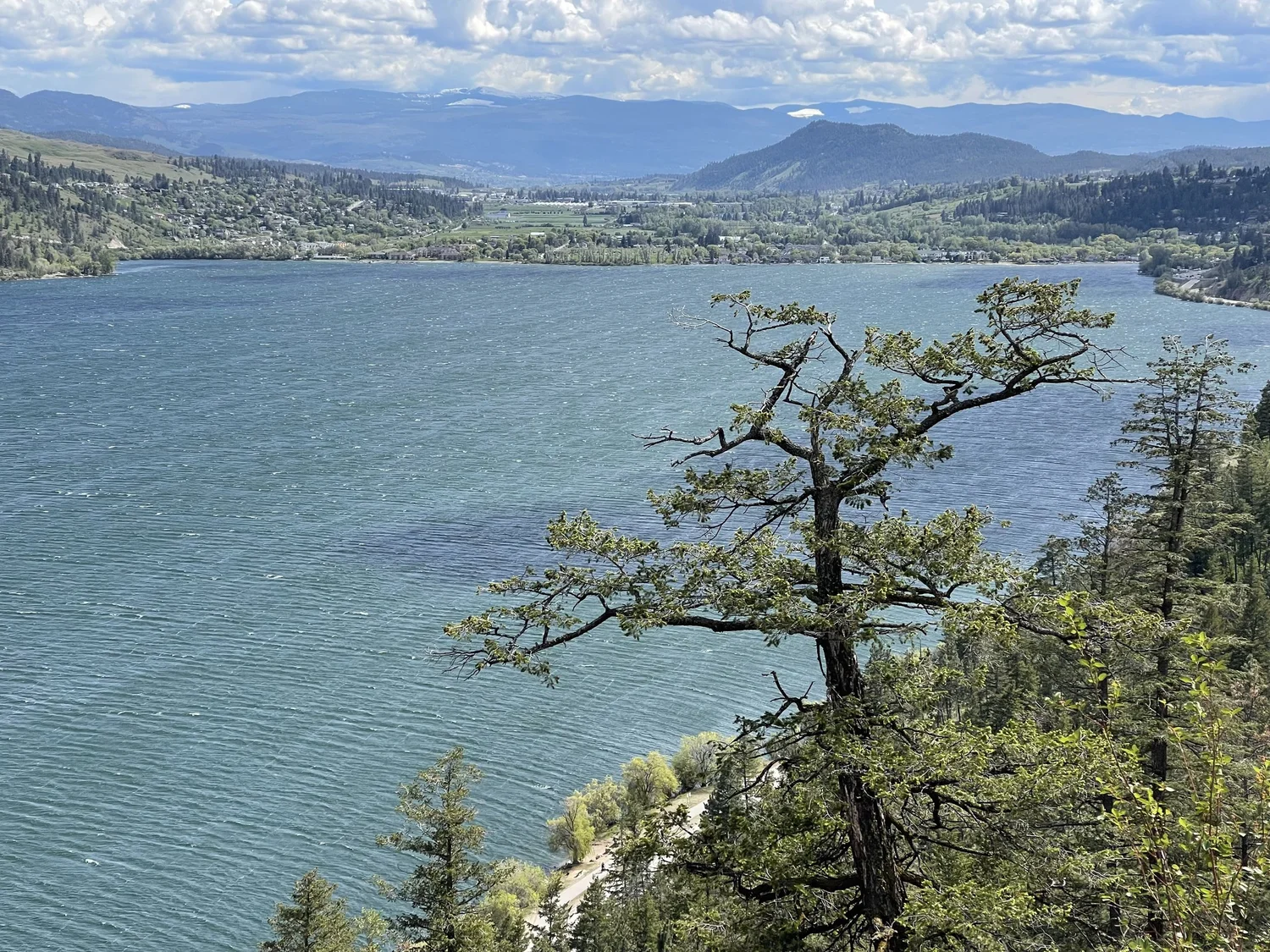 Raptor Loop, Spion Kop Trails, Lake Country — Exploratory Glory Travel Blog