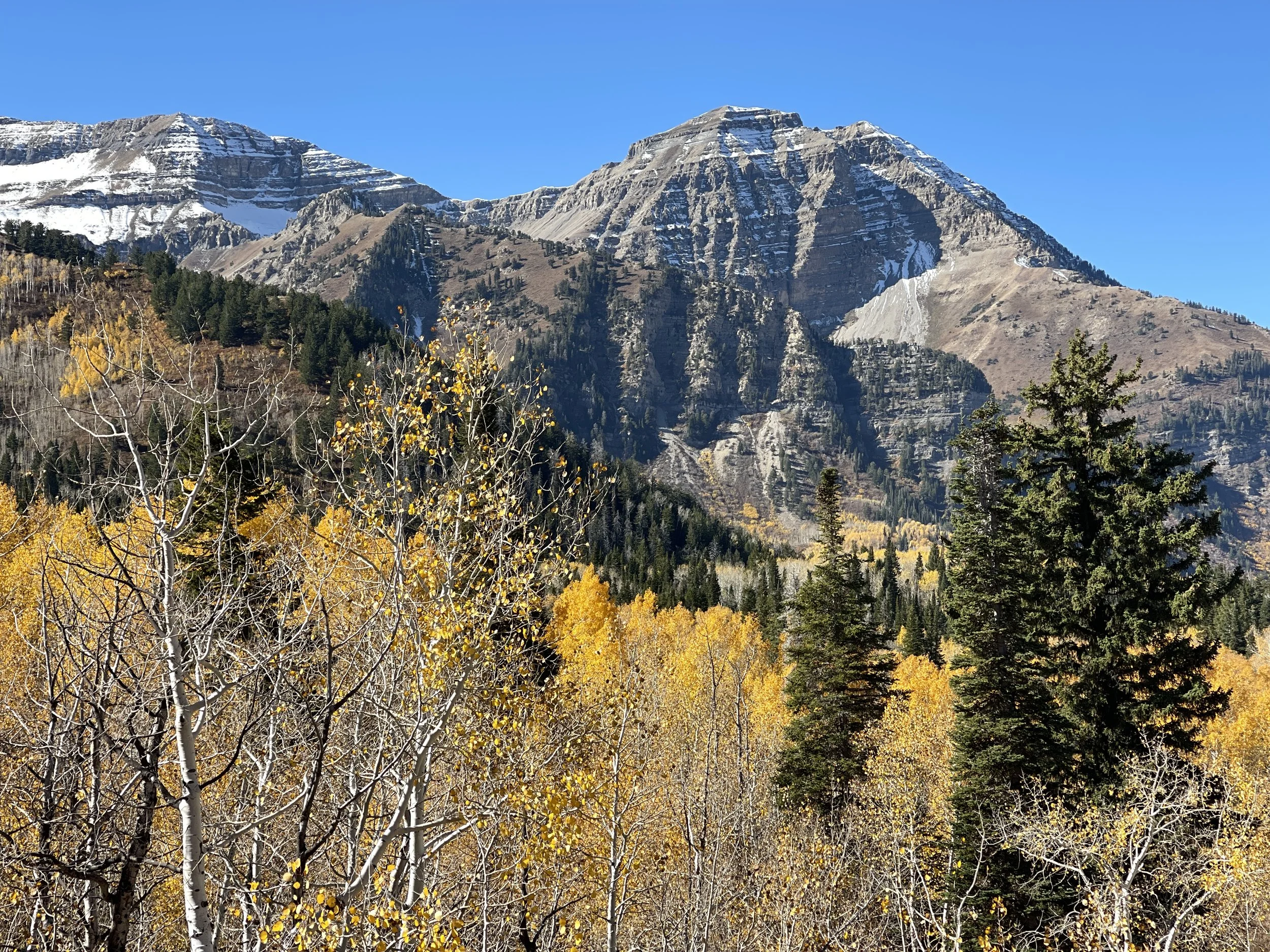 Alpine Loop Scenic Drive | Utah — Exploratory Glory Media Travel and ...