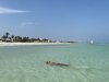 Discover the Best of Progreso Beaches in Mexico — Exploratory Glory ...