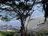 Playa Malpaso, Nayarit — Exploratory Glory Media Travel and Lifestyle ...
