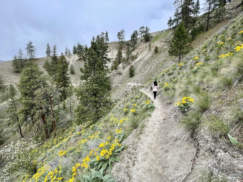 Full Loop Trail, Okanagan Centre — Exploratory Glory Media Travel and ...