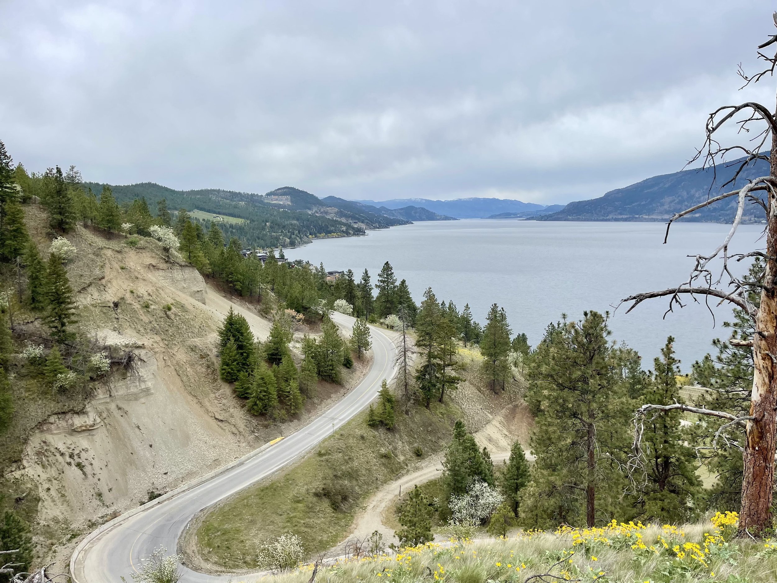 Full Loop Trail, Okanagan Centre — Exploratory Glory Media Travel and ...