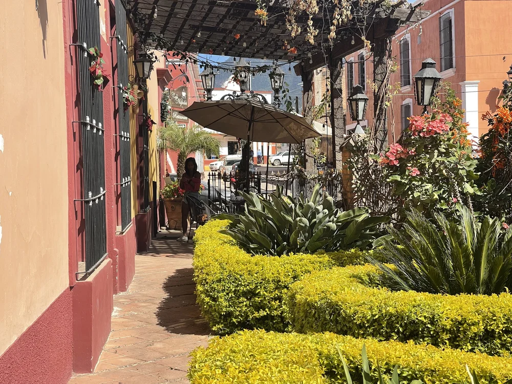 Guide to Travel Mascota, Mexico — Exploratory Glory Media Travel and ...