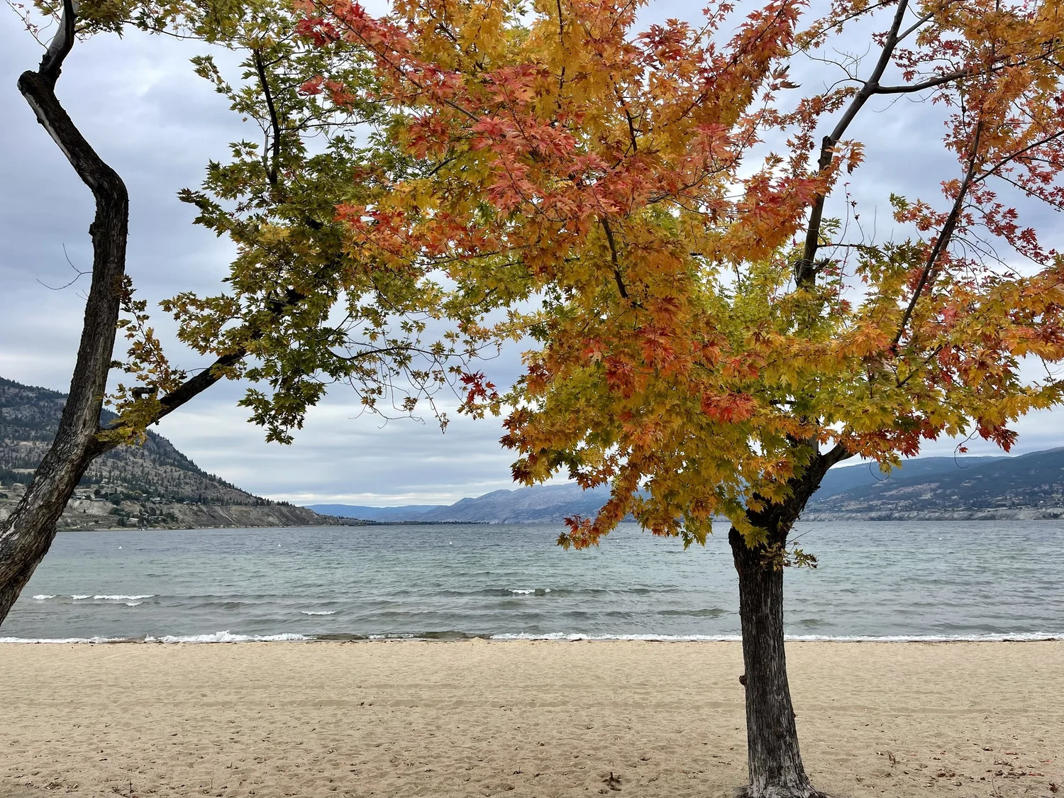 Guide to Travel Penticton, British Columbia — Exploratory Glory Media ...