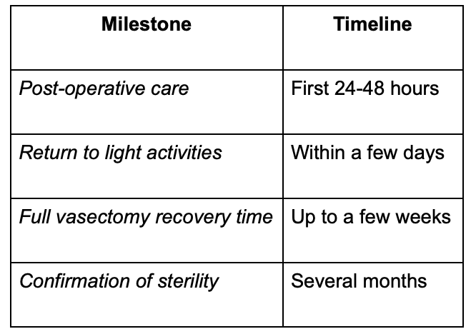 Understanding Vasectomy: A Guide to Male Birth Control — Exploratory ...